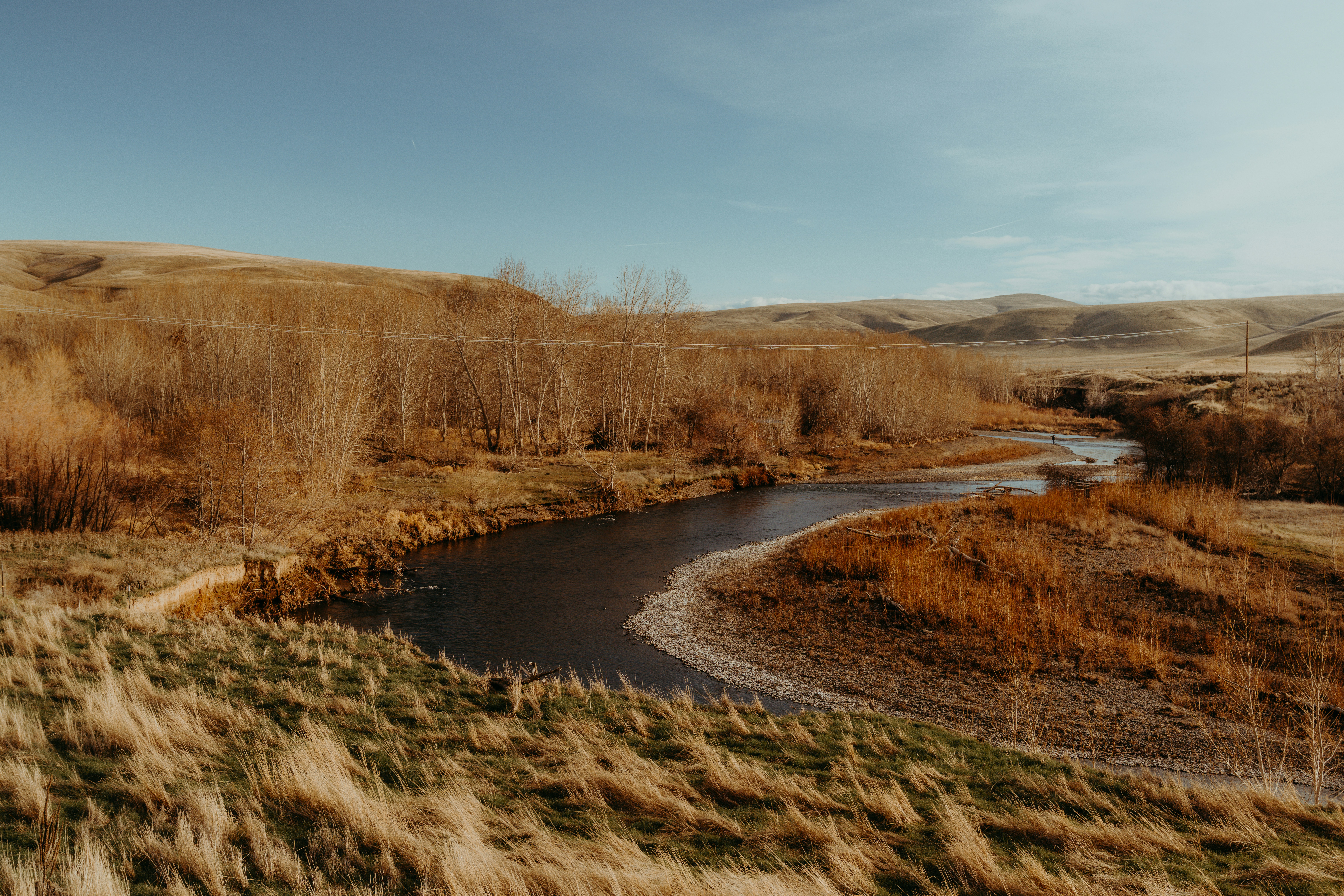 River’s Ribbon Through Autumn Grasses