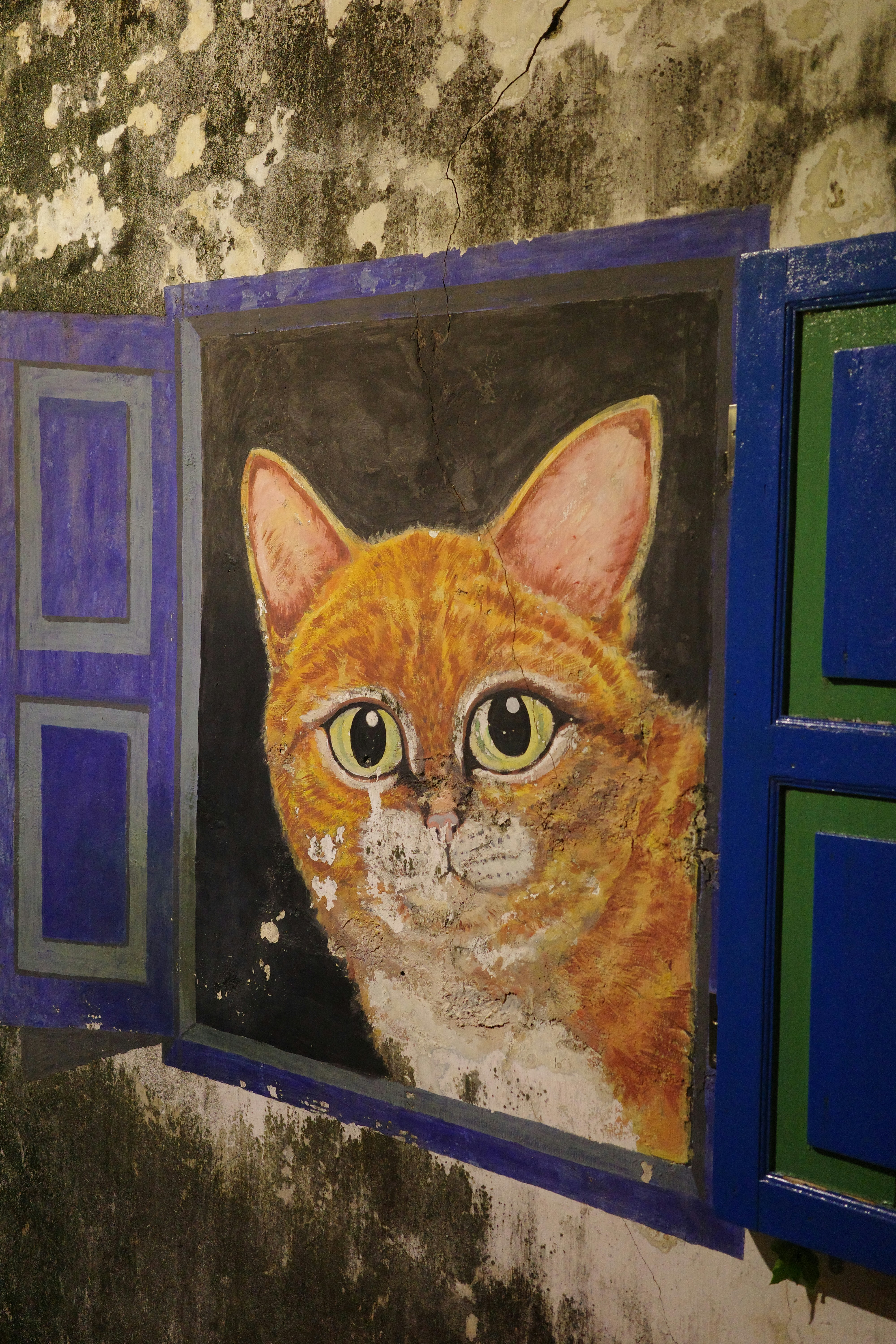 Orange Cat Portrait Framed by Colorful Tiles on a Weathered Wall