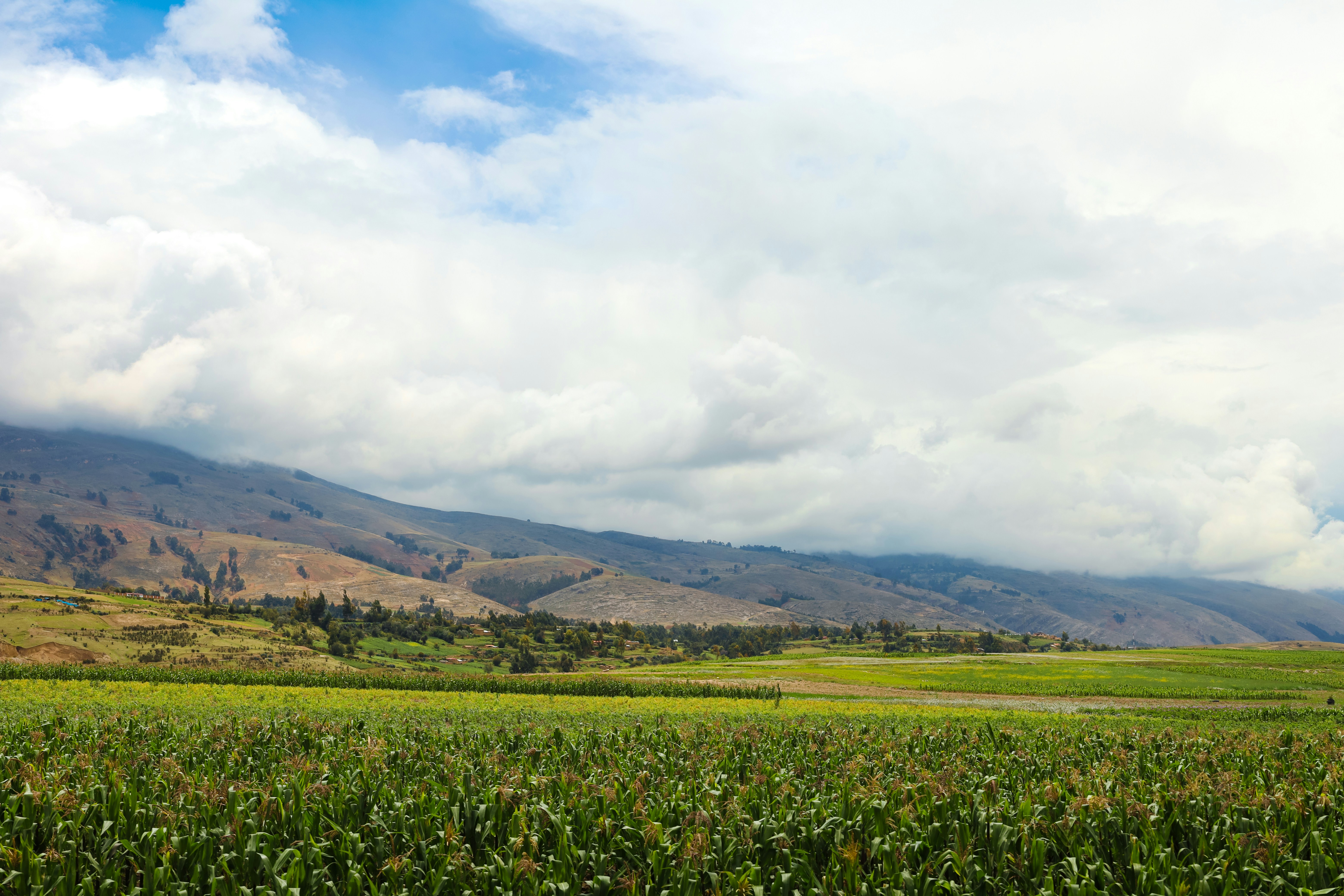 Valley Horizon: Crops, Clouds, and Rolling Hills