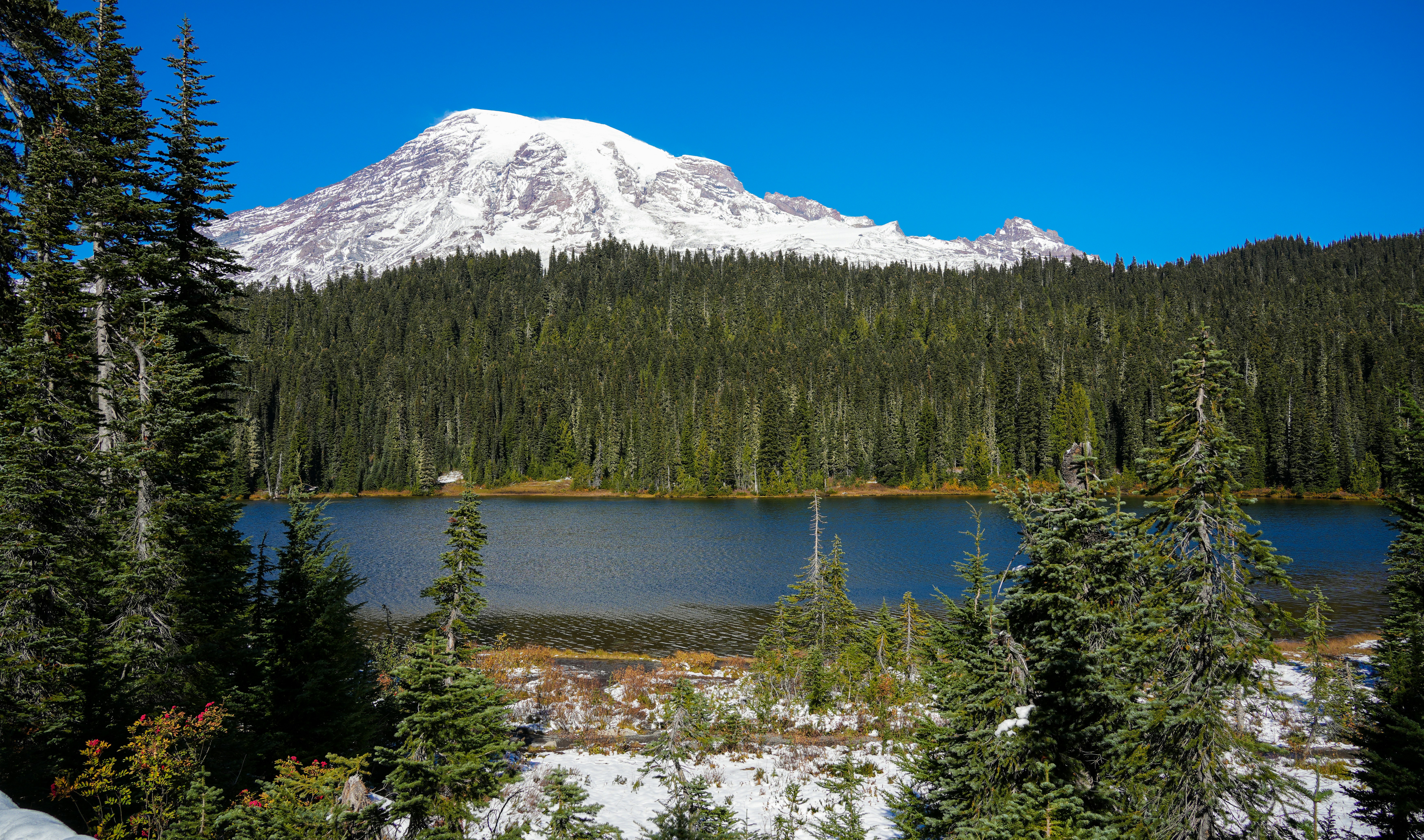 Snowcap Over Elk Lake: A Clear Morning of Pine Silence