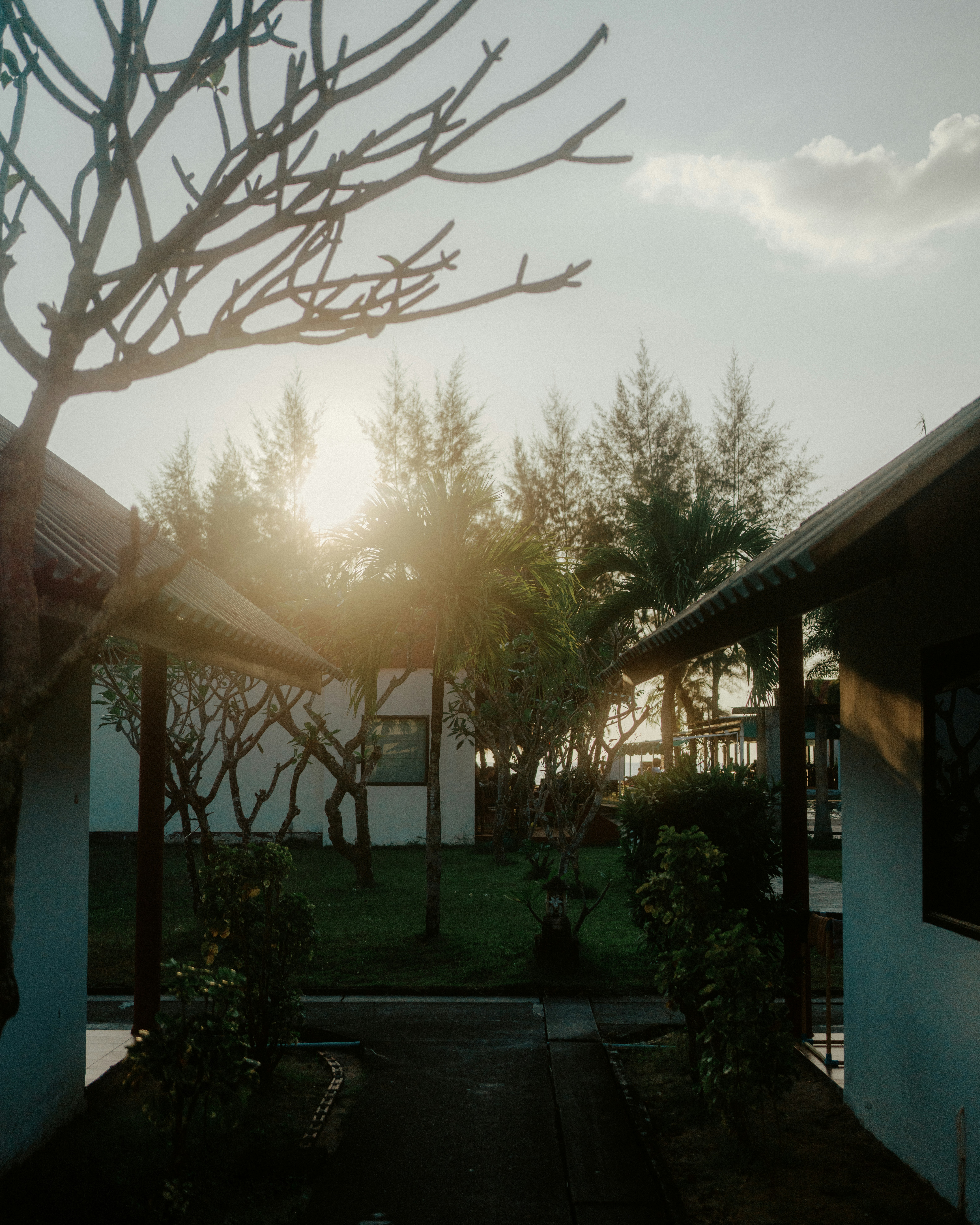 Soft Dawn in a Tranquil Campus Courtyard