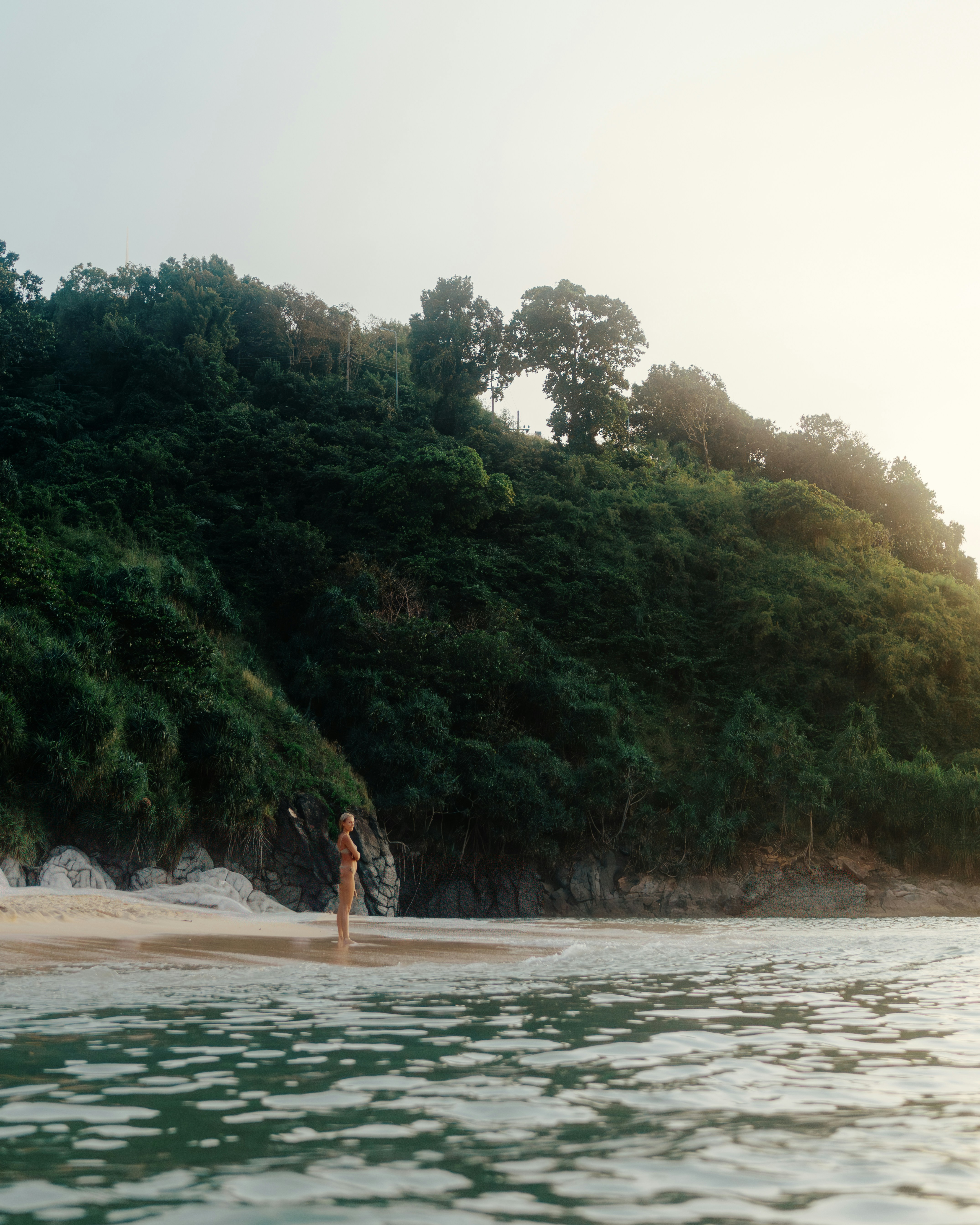  Lone Wanderer at the Shoreline: A Quiet Moment Between Forest and Sea