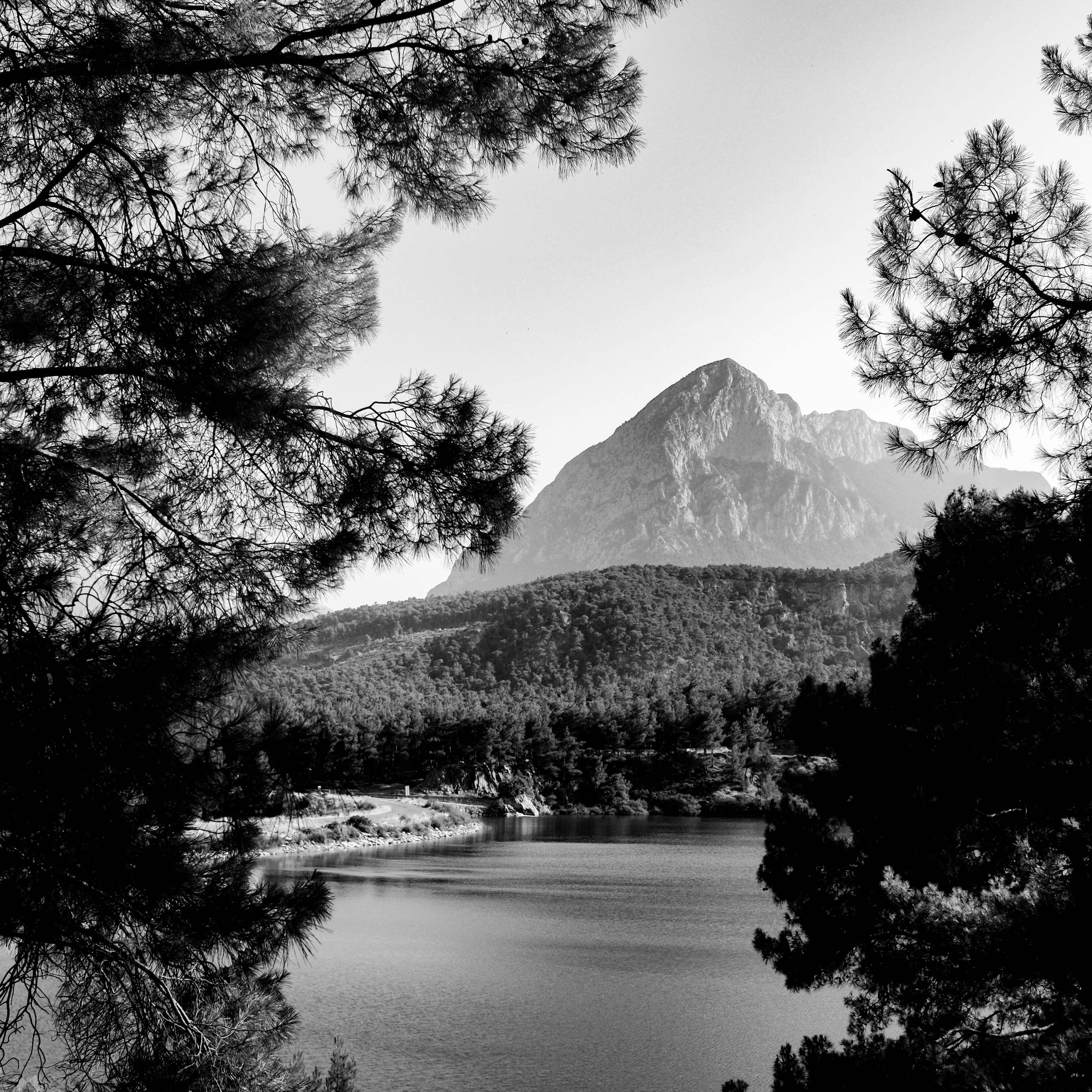 Mountain Mirror: Lake, Pines, and Peak in Mono