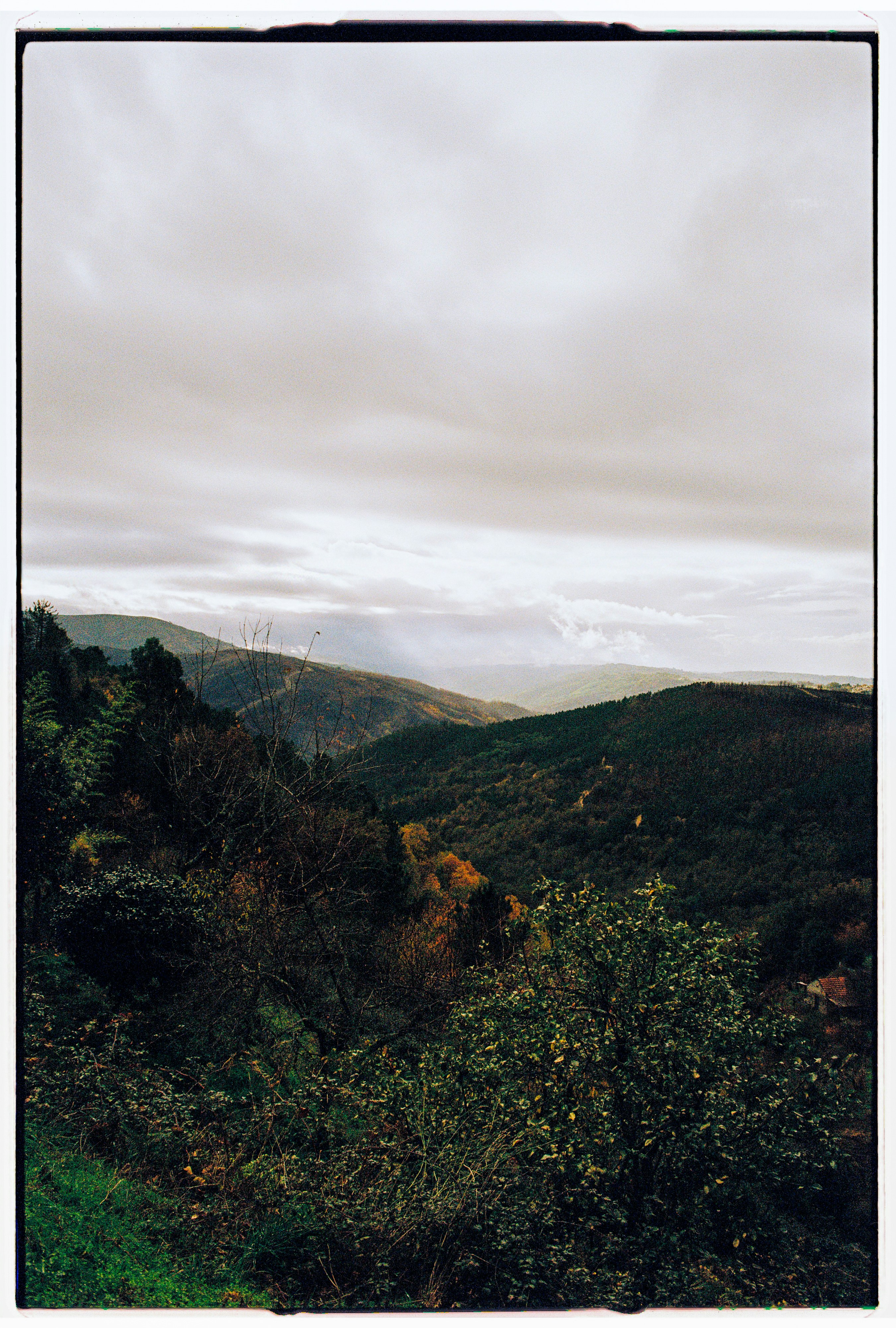 Autumn Ridge: A Quiet Valley Wrapped in Cloud and Color