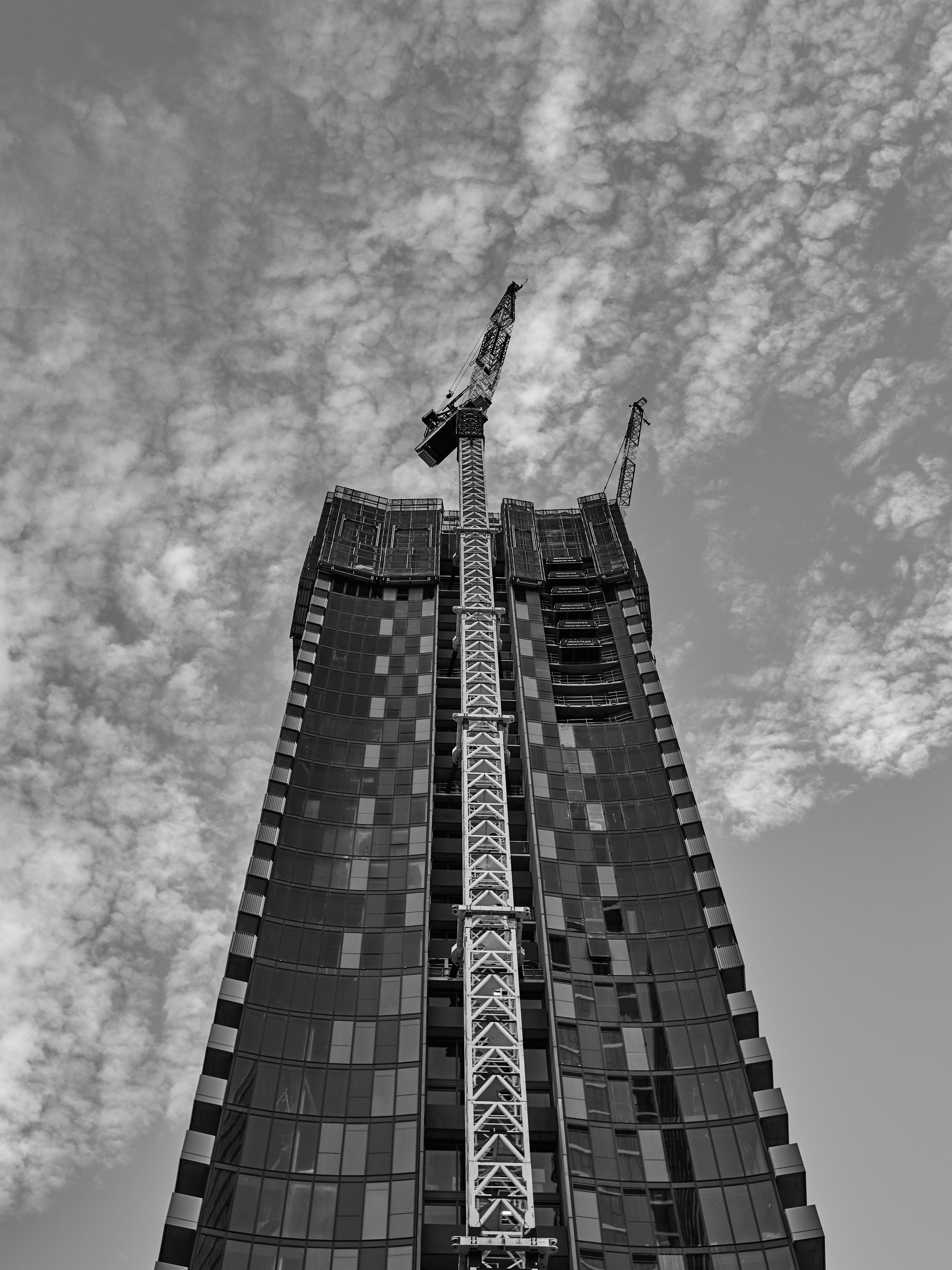Towering Ascent: A Crane-Clad Skyline Reaches for the Sky