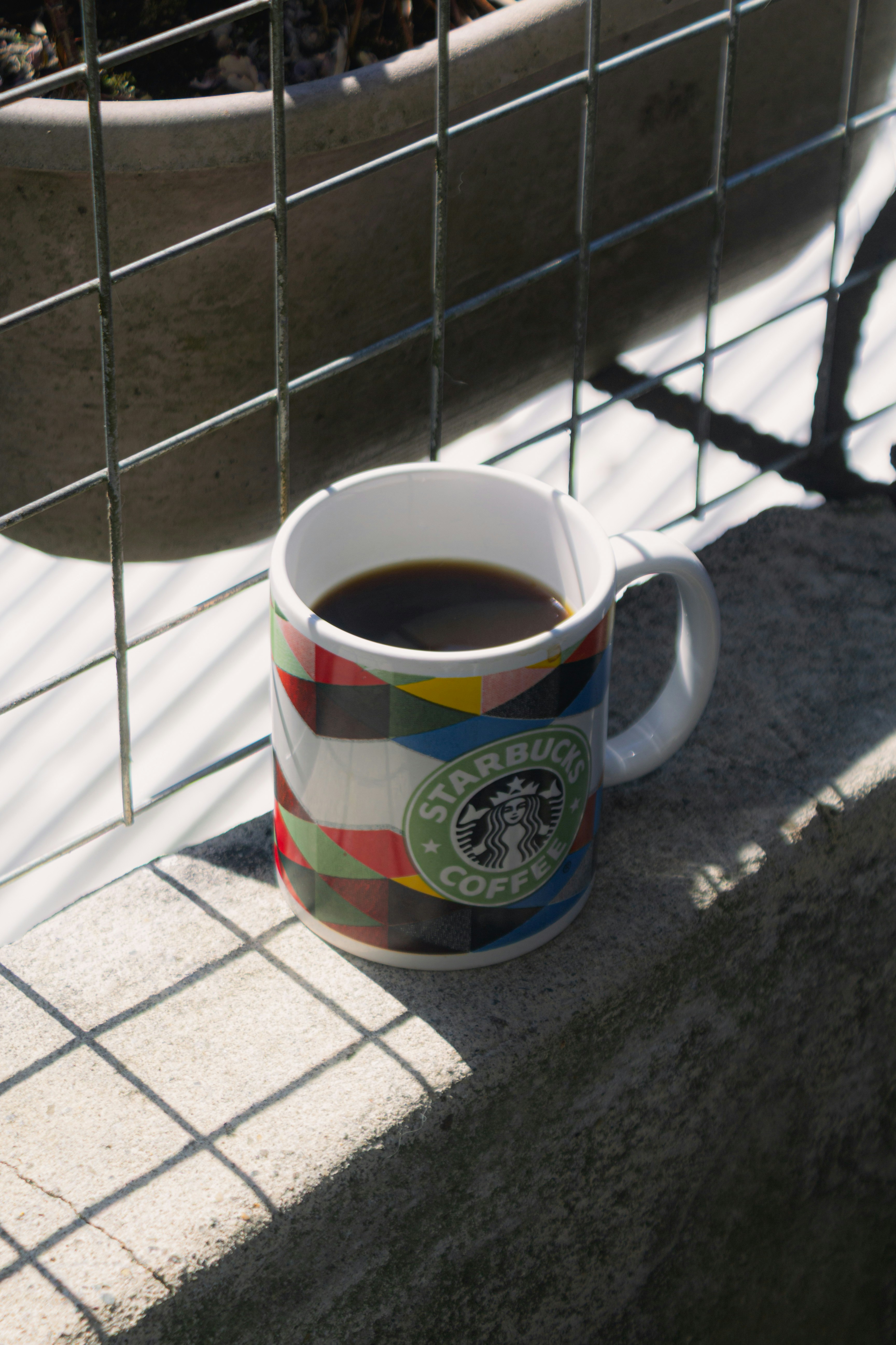 Starbucks Cup in Sunlit Concrete Cradle