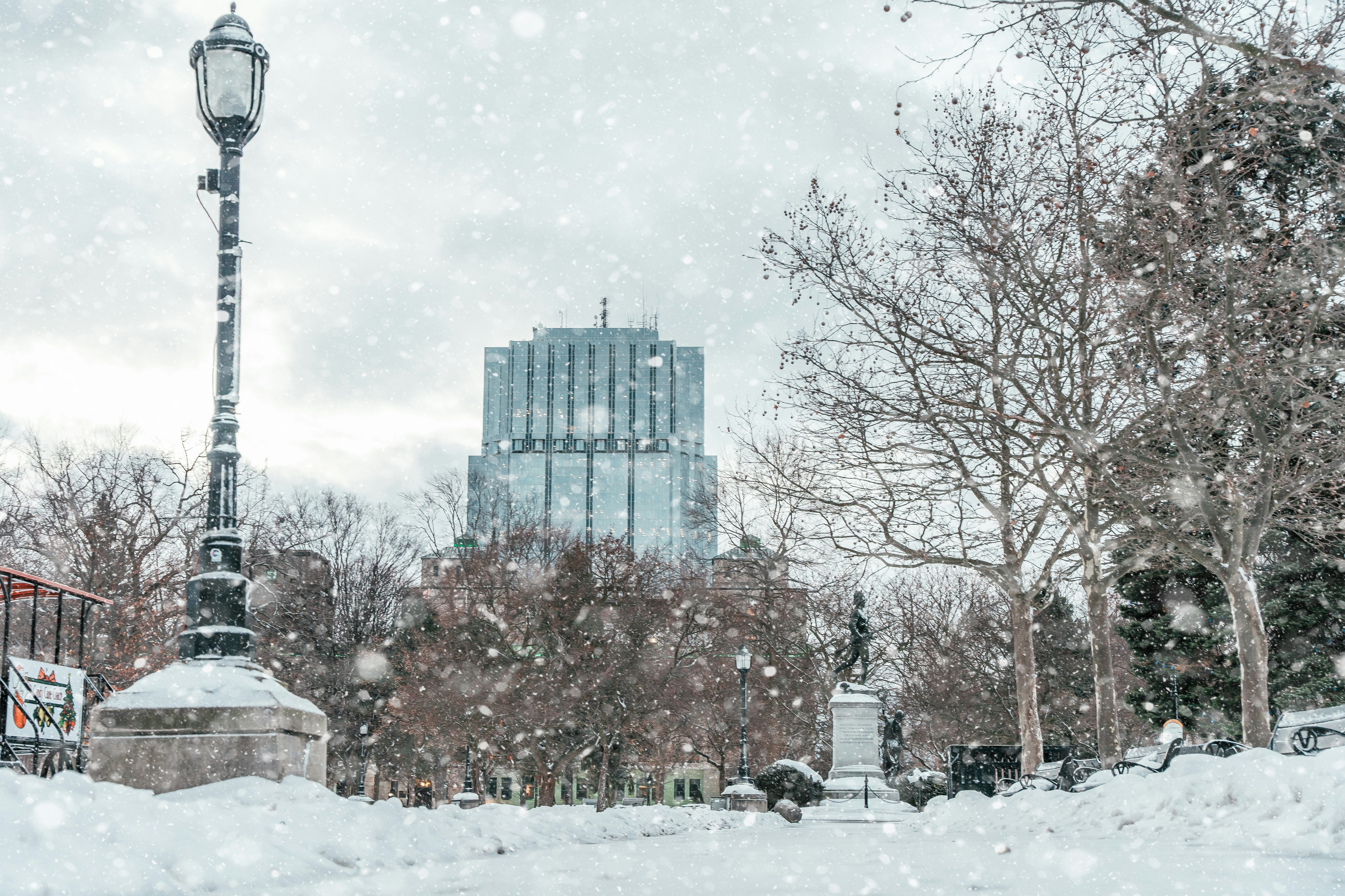 Snowfall Over the City Plaza: Quiet Monumental Frost