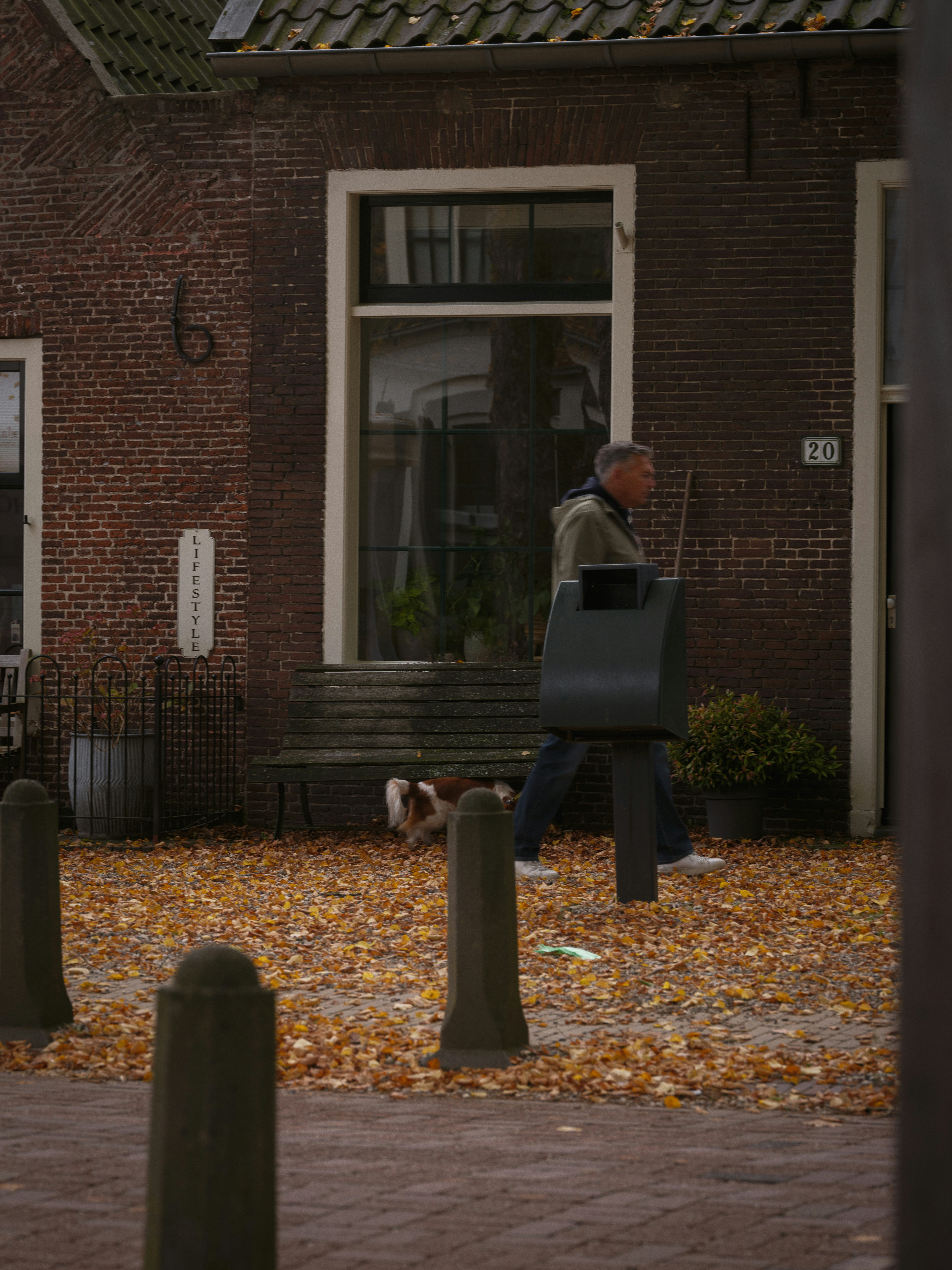 Autumn Street Stroll: A Man and Dog Crossing a Quiet Courtyard
