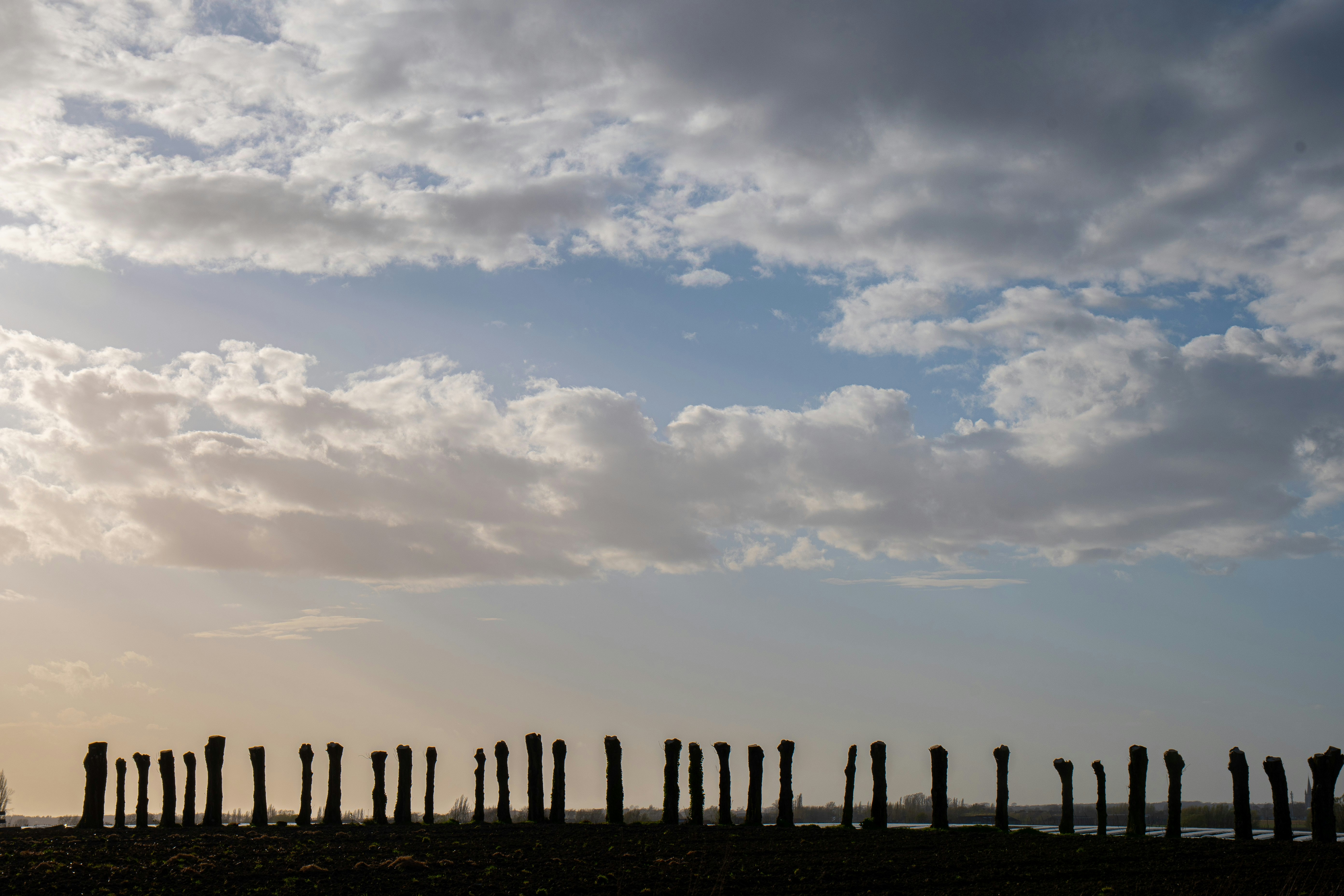 Line of Silence: Sunlit Posts Against a Quiet Horizon