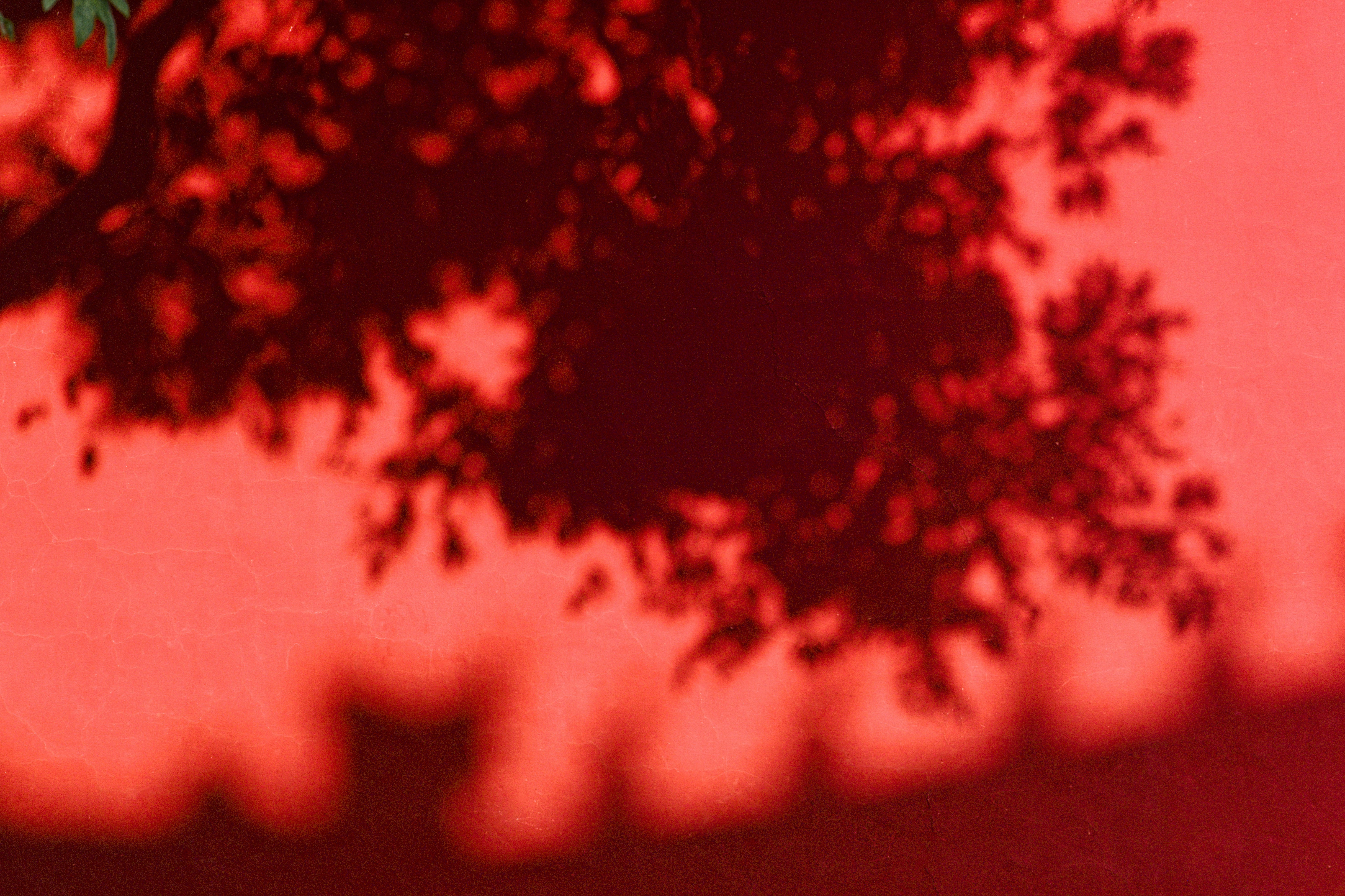 Crimson Blur: Hidden Silhouettes Across a Red Wall