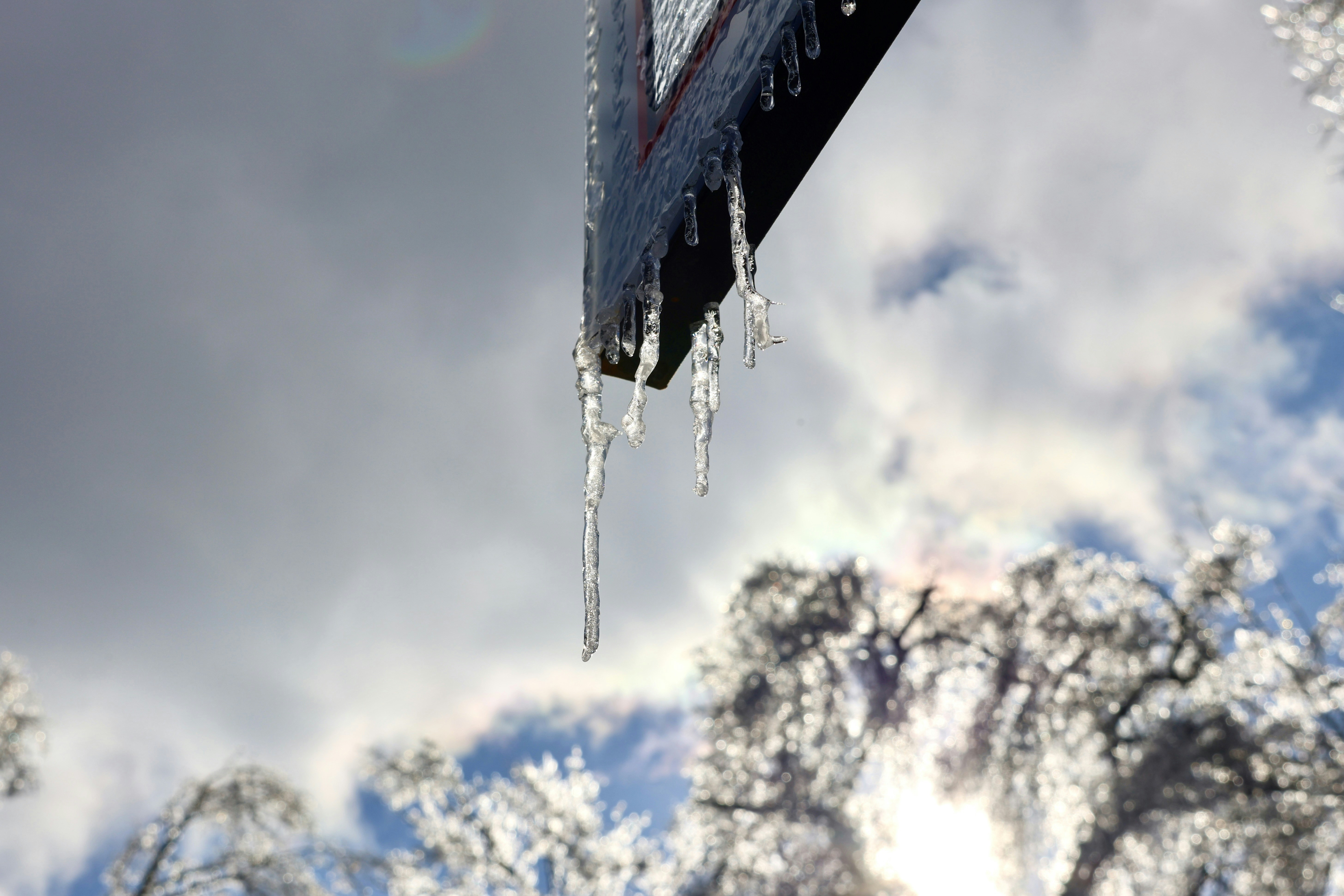 Icicle Entrances: A Wintry Anomaly Clings to a Banner Edge