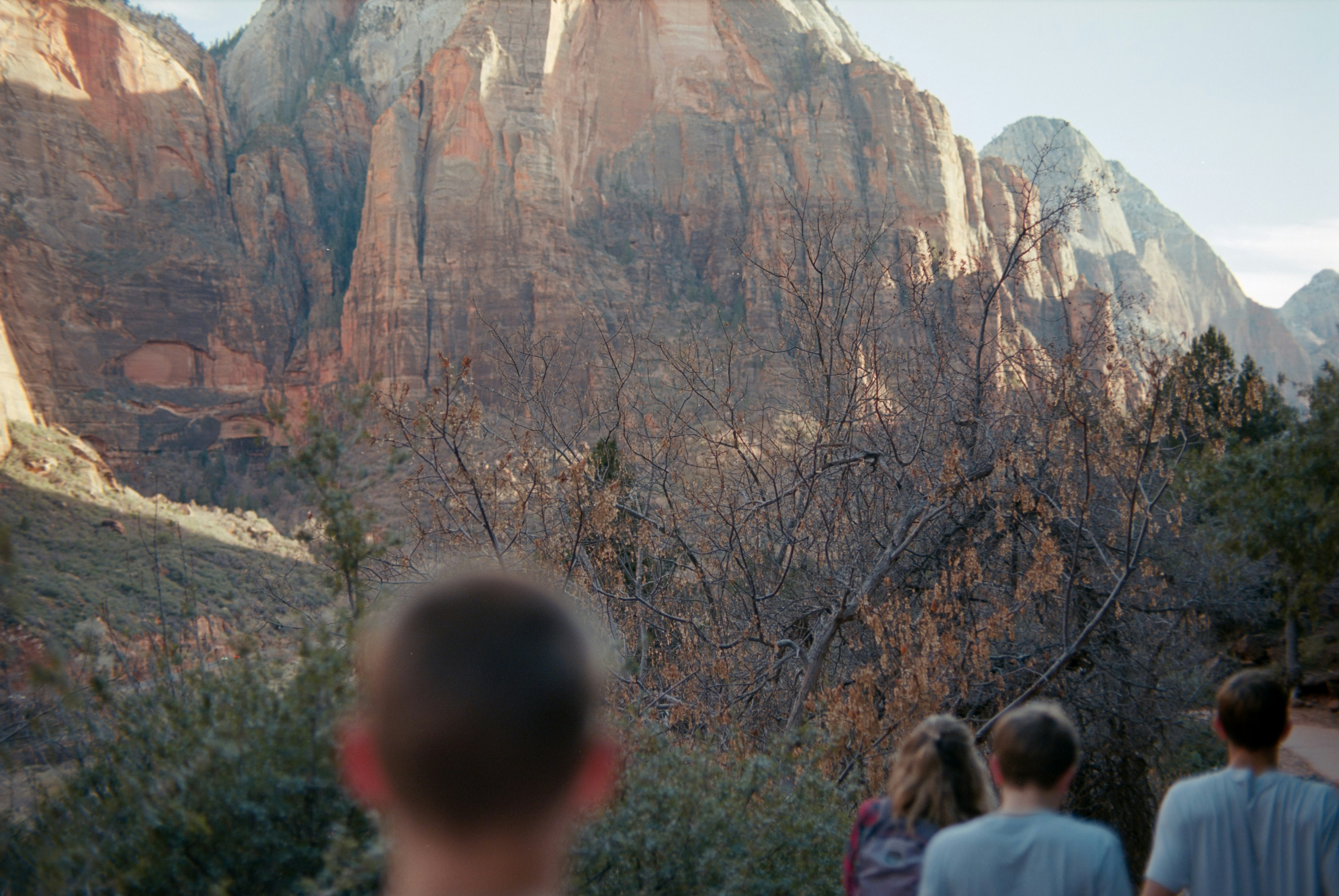 Blurry silhouettes at the canyon overlook