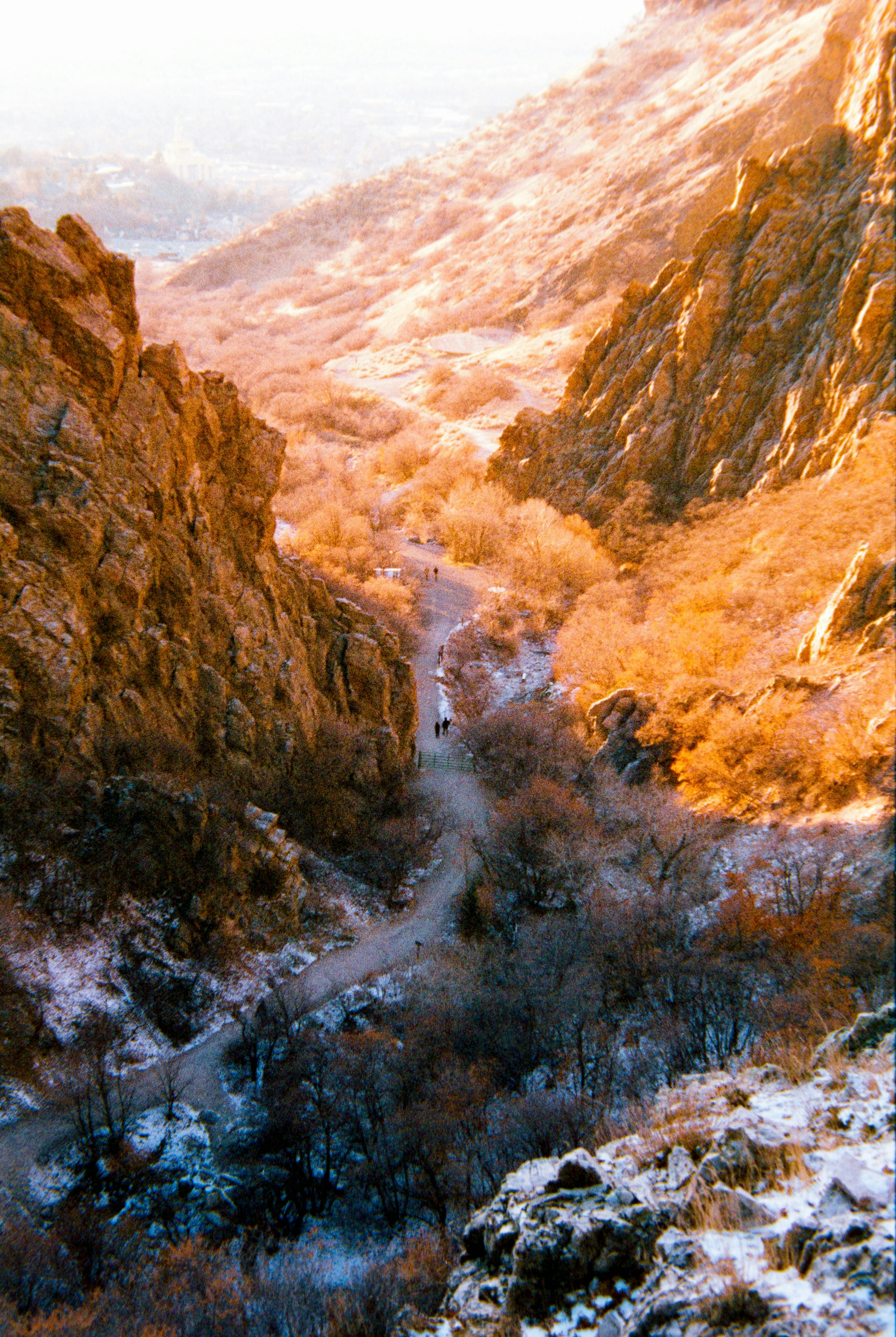 Through the Orange Echo: A Narrow Canyon Path Woven Between Golden Cliffs