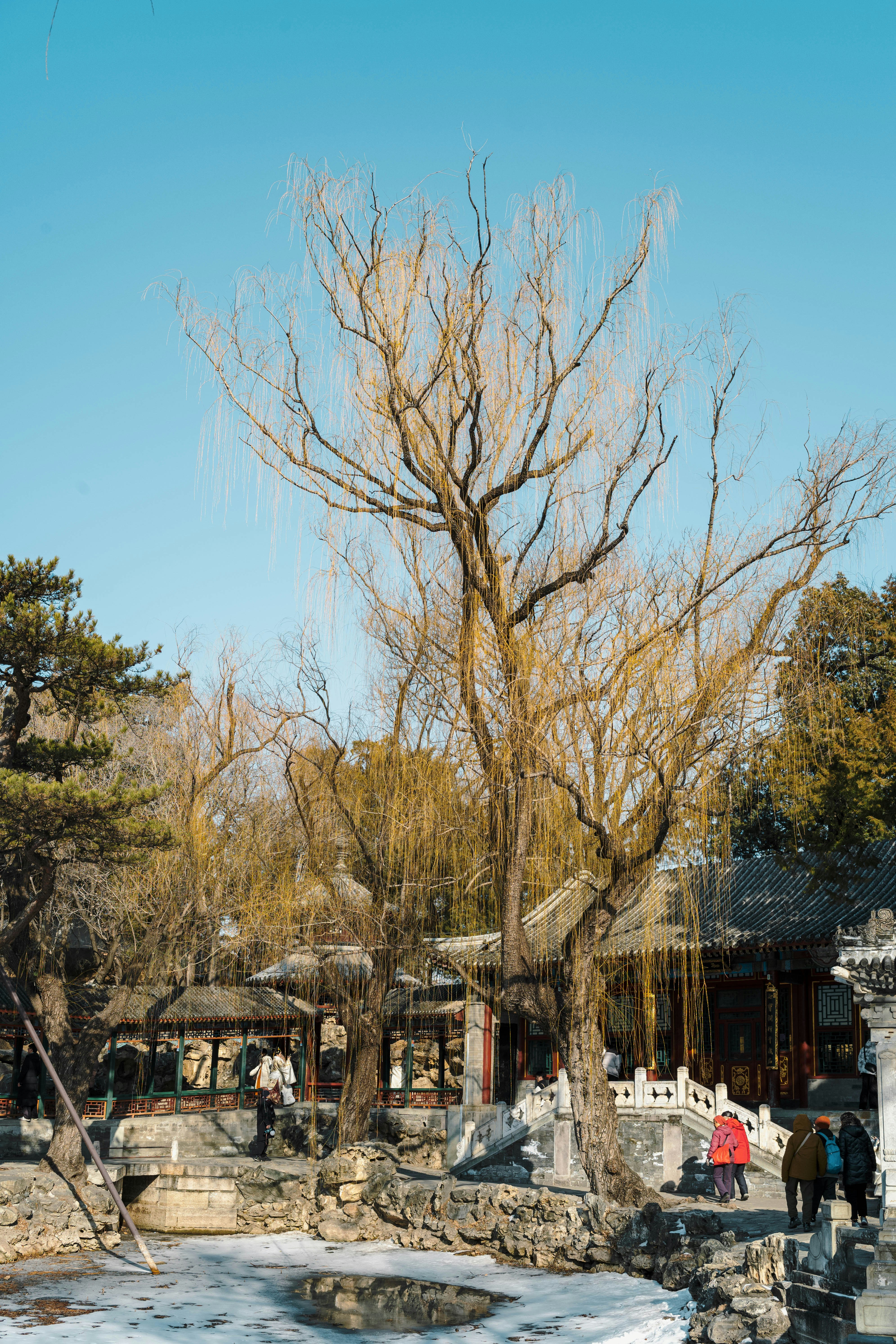 Winter Serenity at a Traditional Courtyard