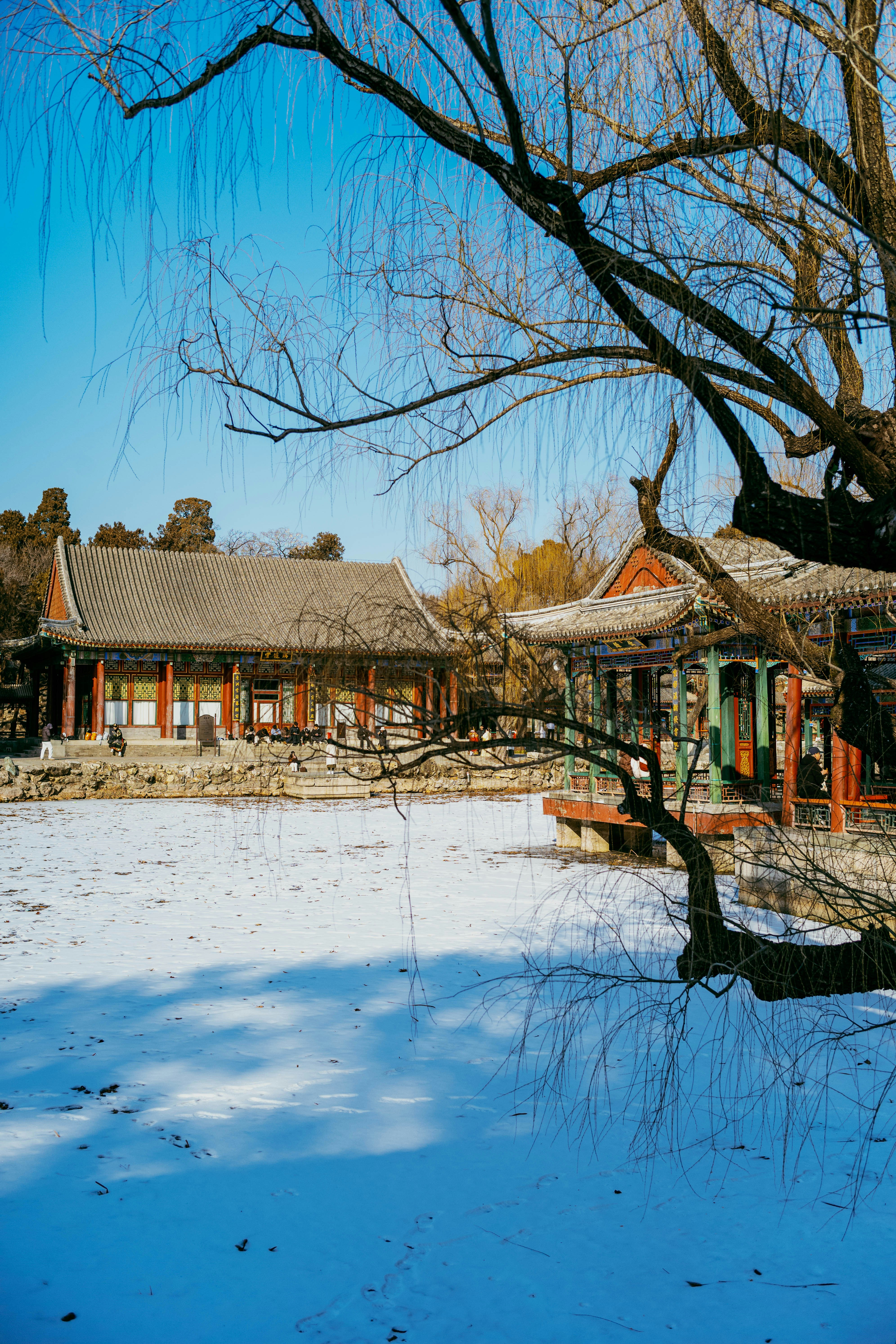 Snow-Laced Courtyard with Willow Weave