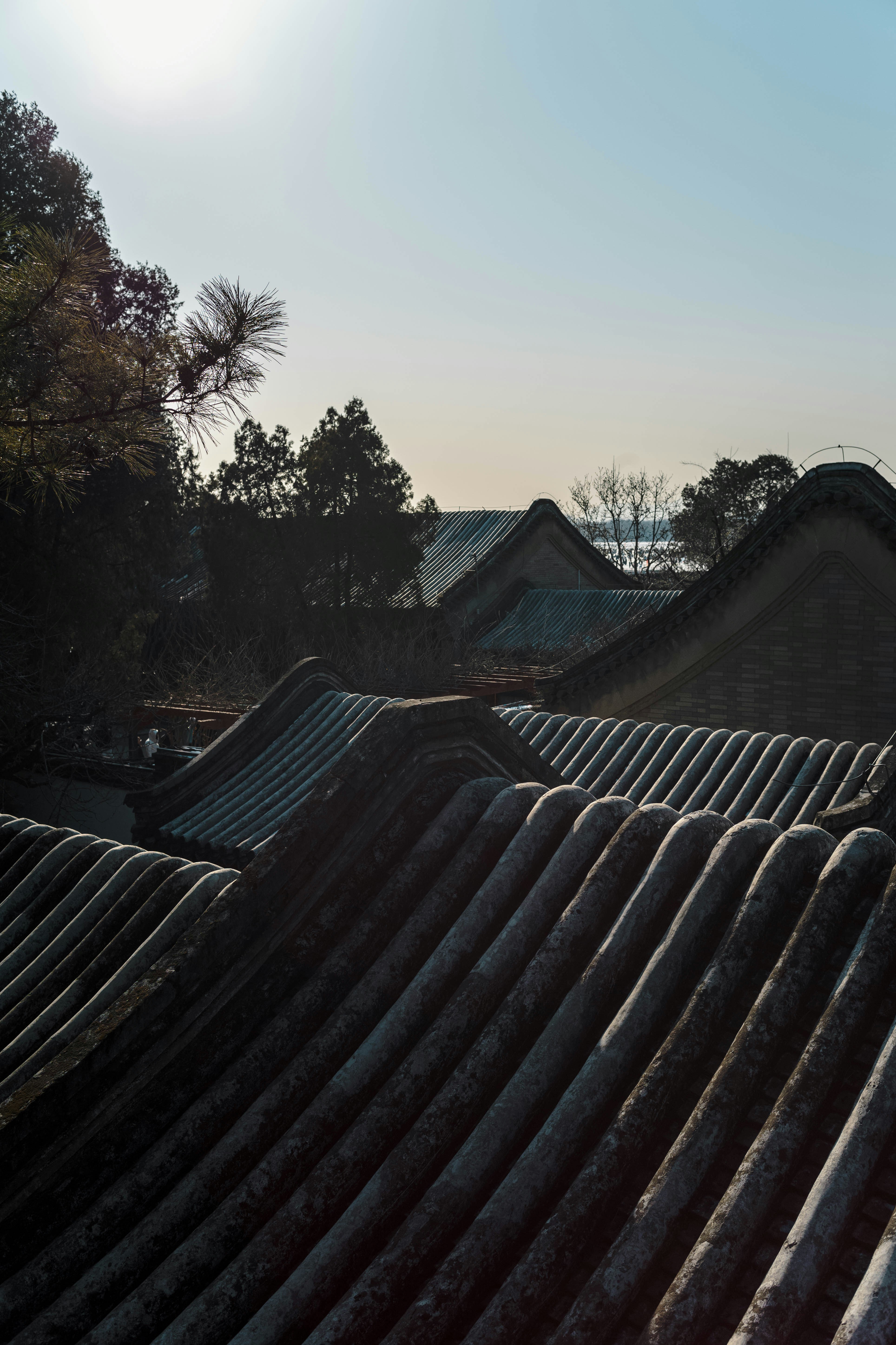 Ridge of Tile and Sky: Quiet Rooftop Lines at Dusk