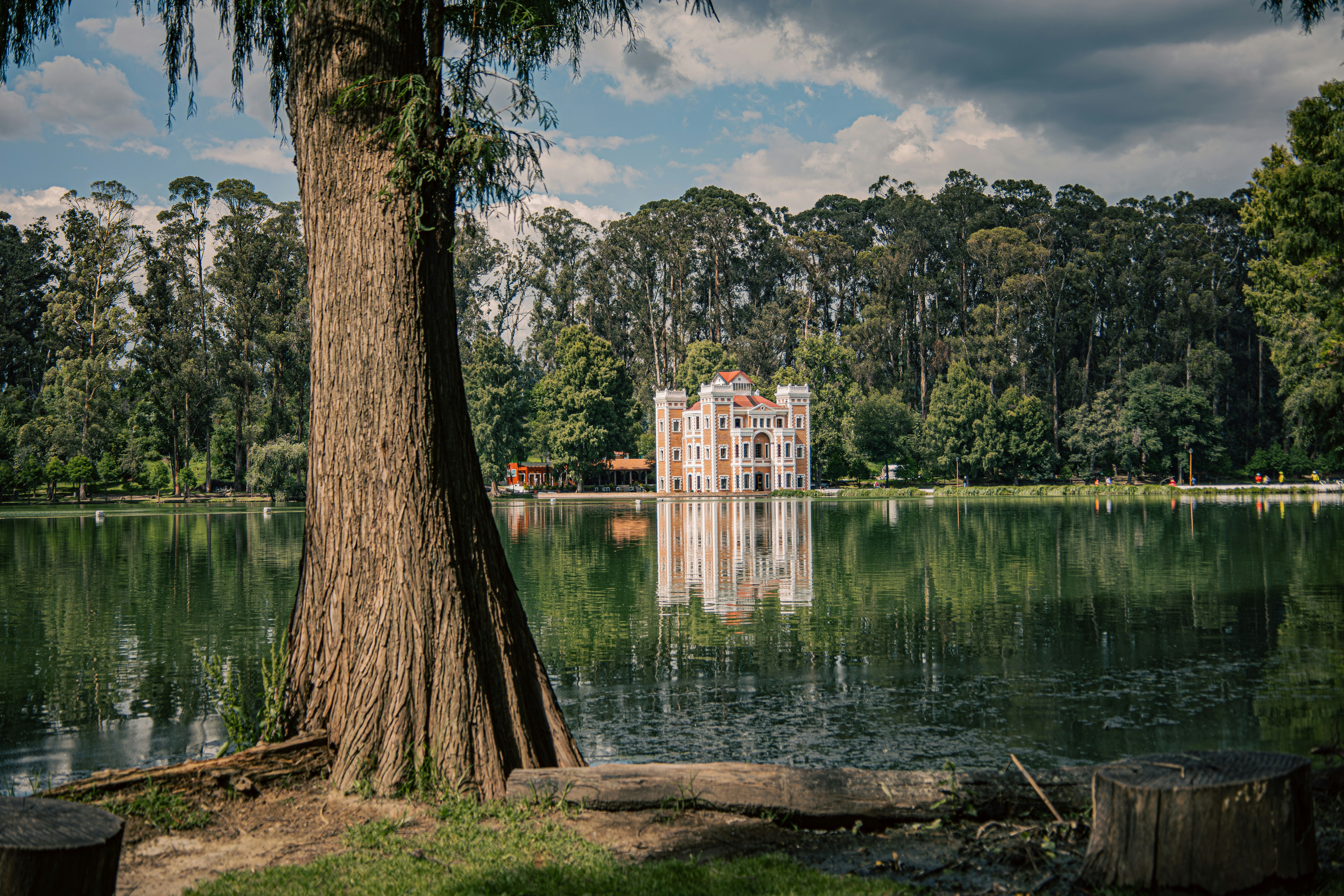 Castle on the Lake: A tranquil reflection amid towering pines