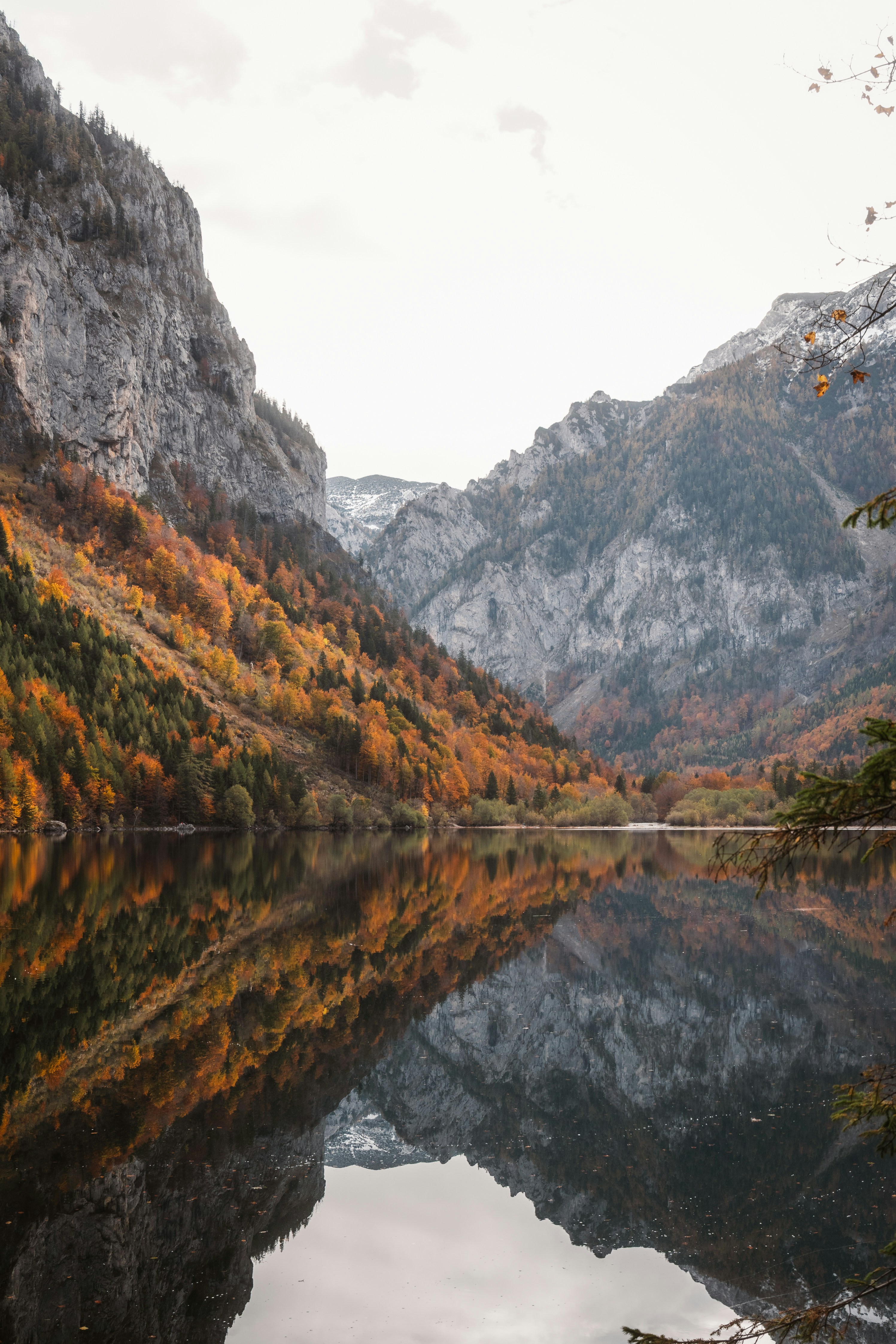 Autumn Echoes Across Silent Water