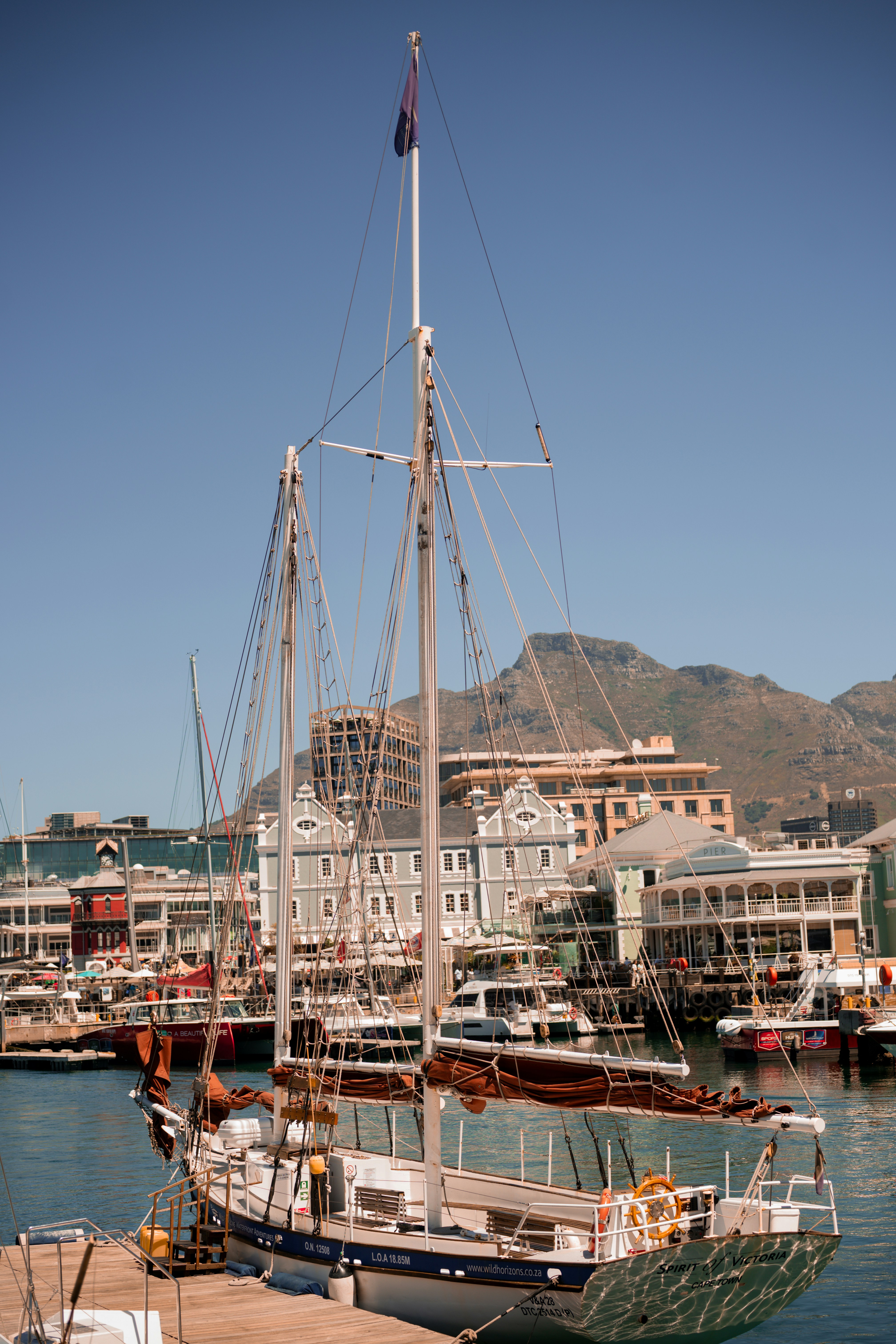 Sailboats at the Harborside: Masts against a Coastal City Backdrop