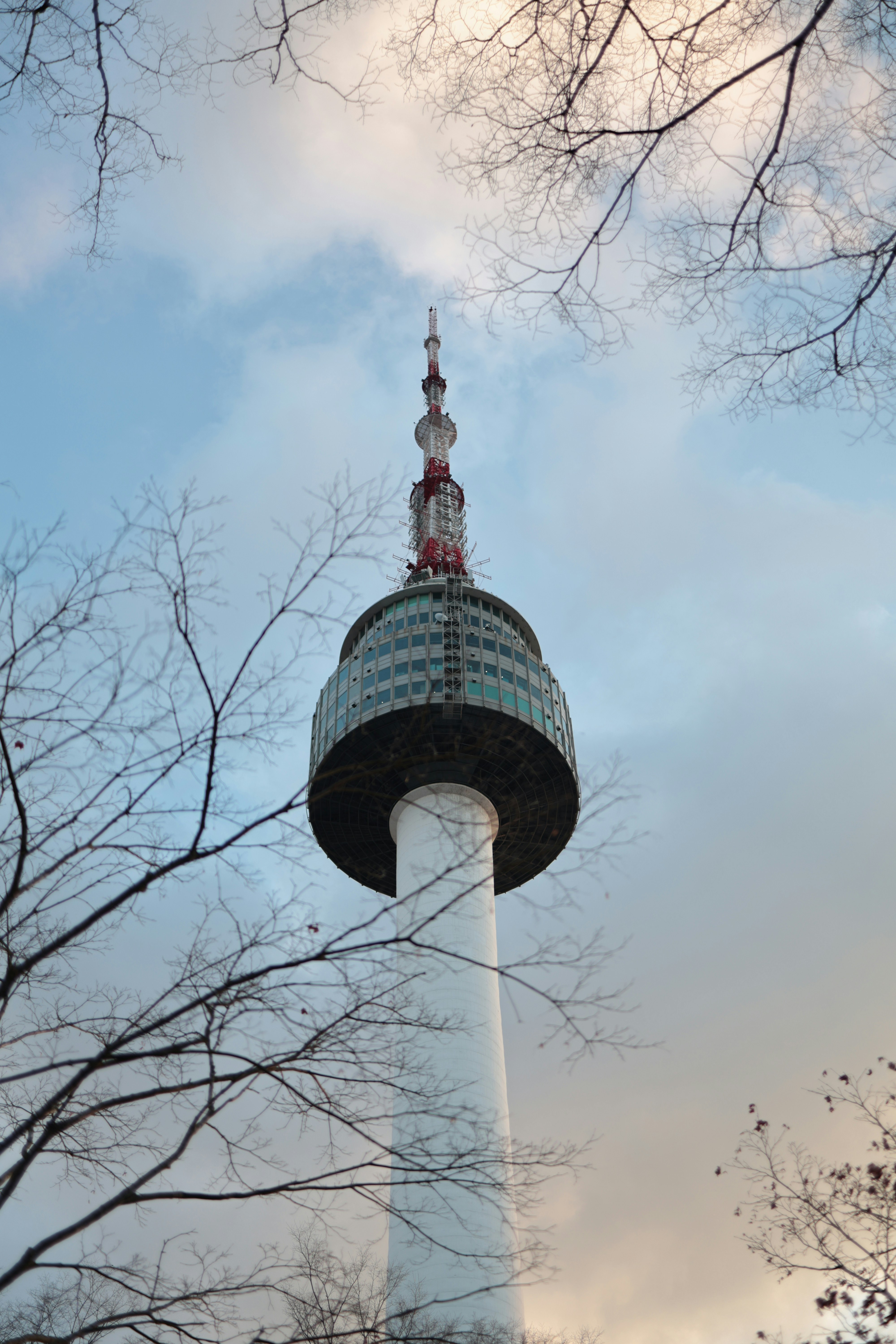 Tower Core: A Skyward Silhouette Framed by Bare Branches