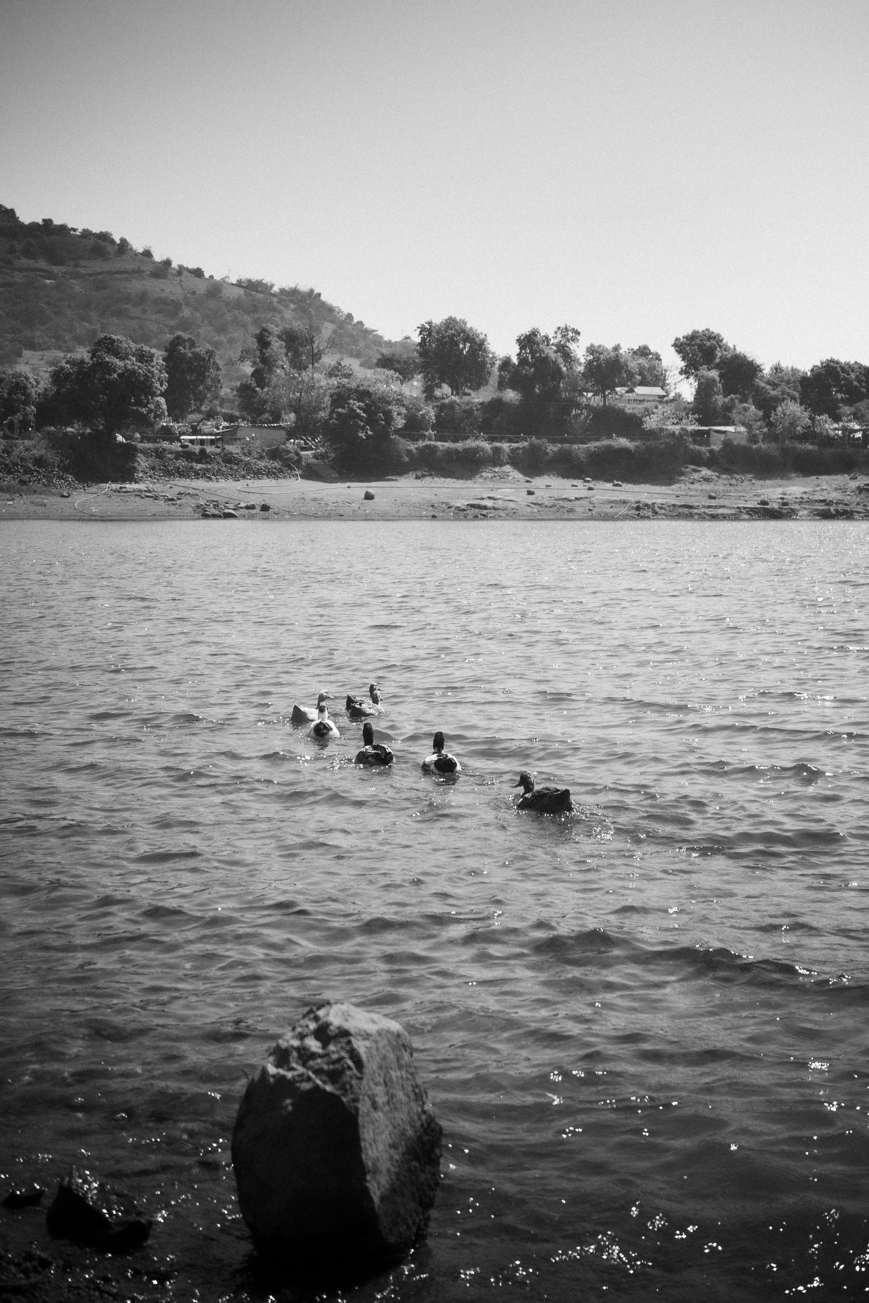 Rowing silhouettes and a lone sea rock under pale hills