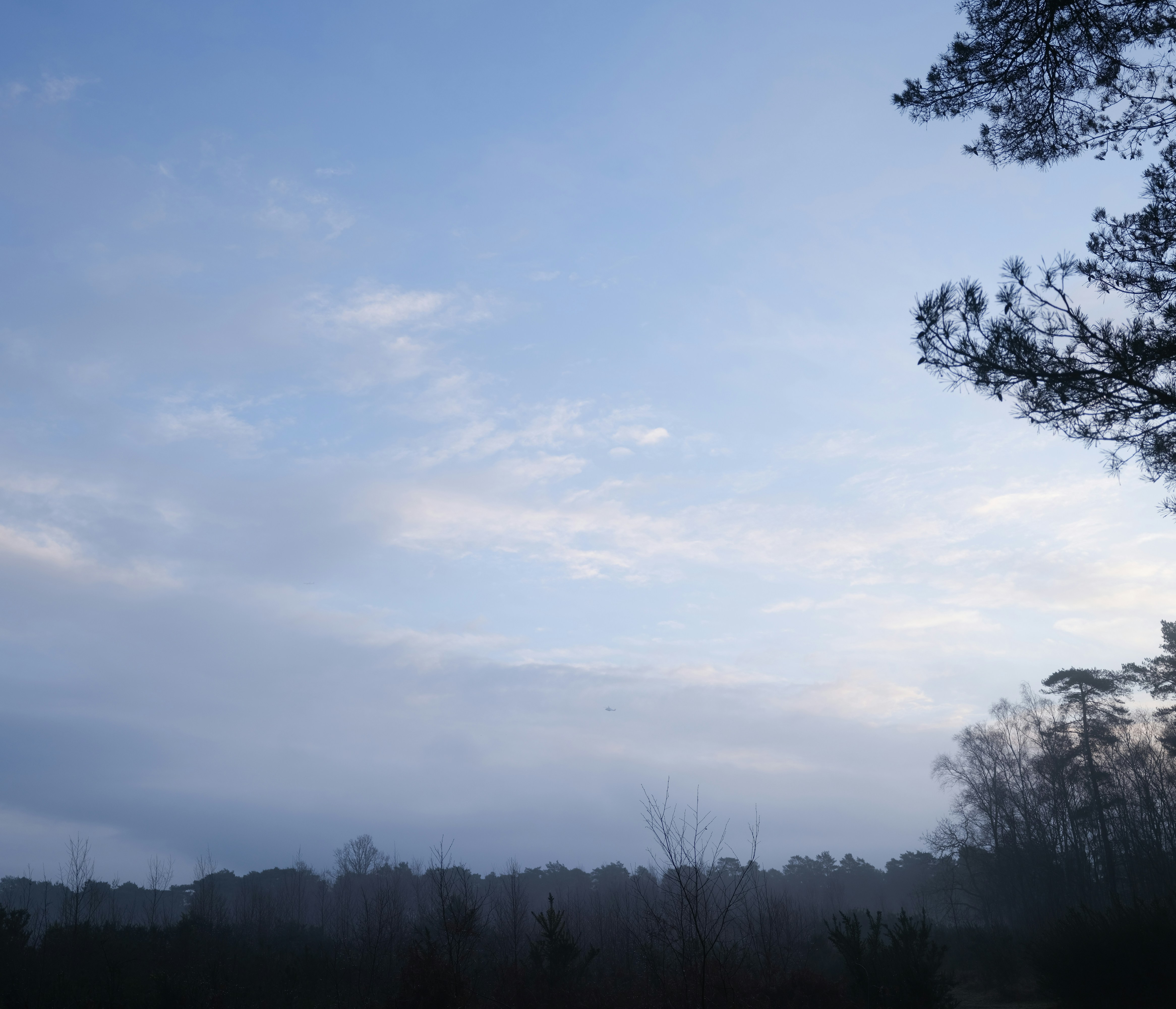 Dawn on the Horizon: Quiet Landscape Under a Cool Sky