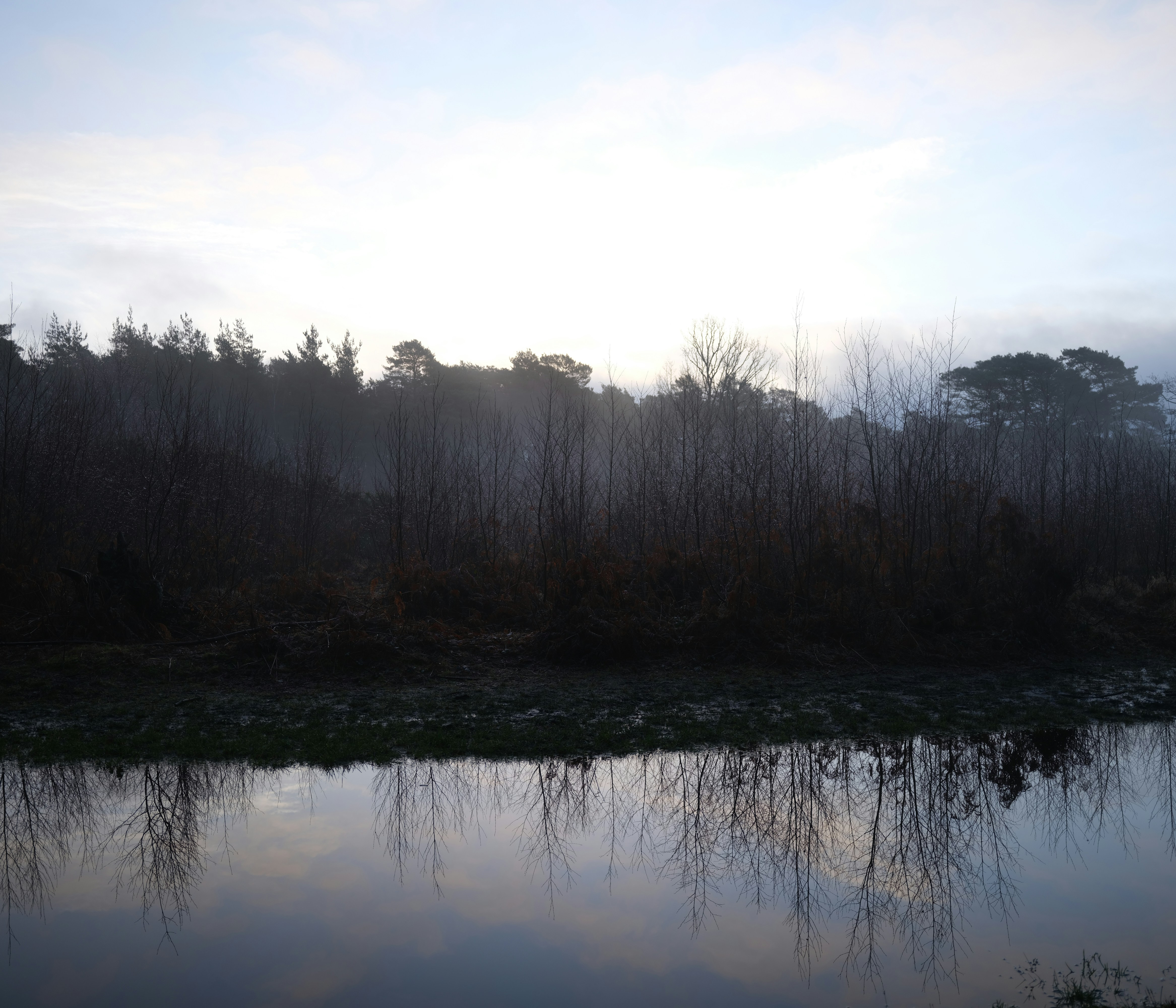 Silhouetted Ripples: Dawn over a Quiet Riverbank