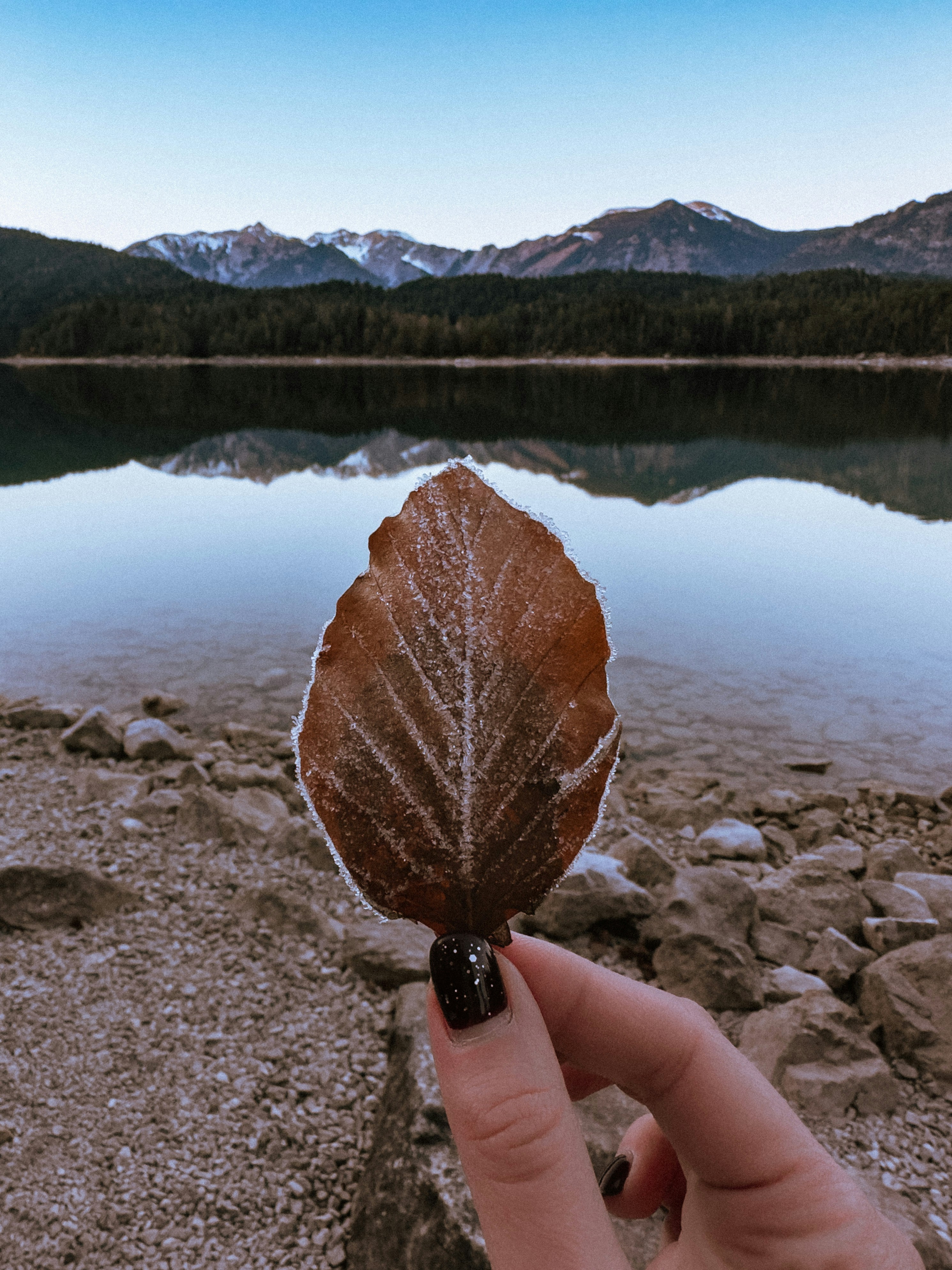 Leaf in Focus: Frosty Bight of Lake and Mountains