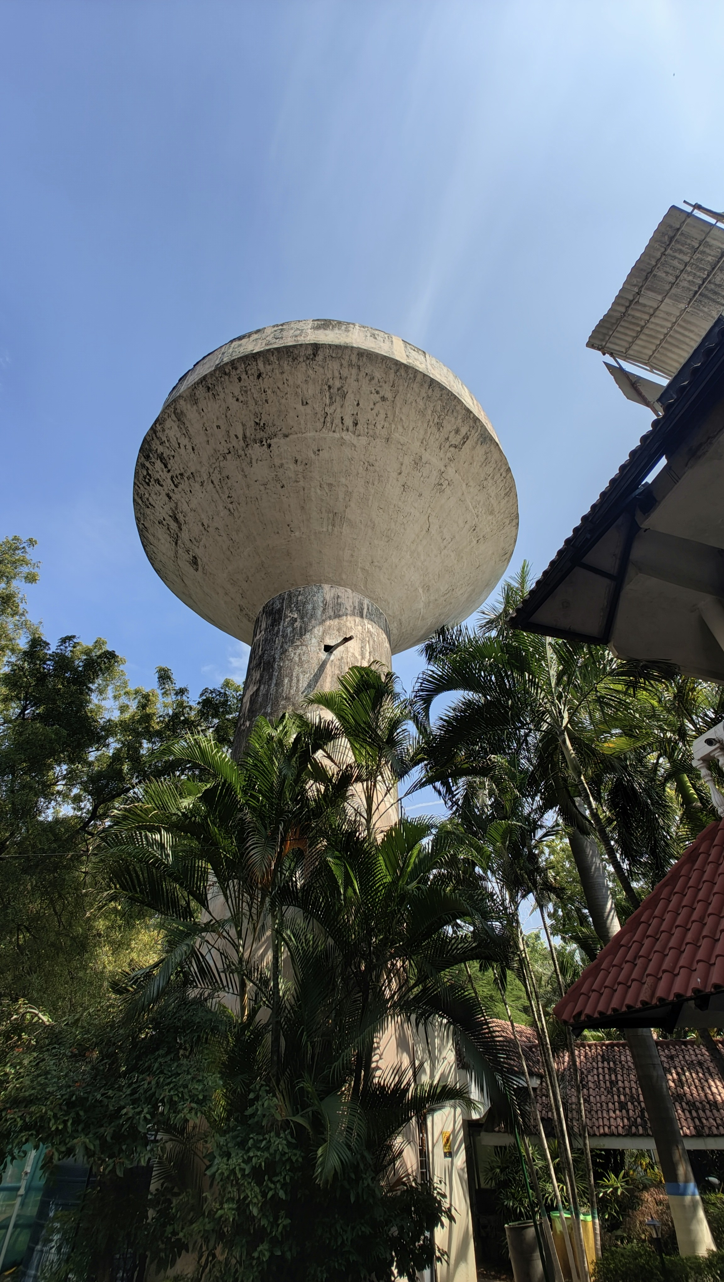 Waiting for Basanti ...