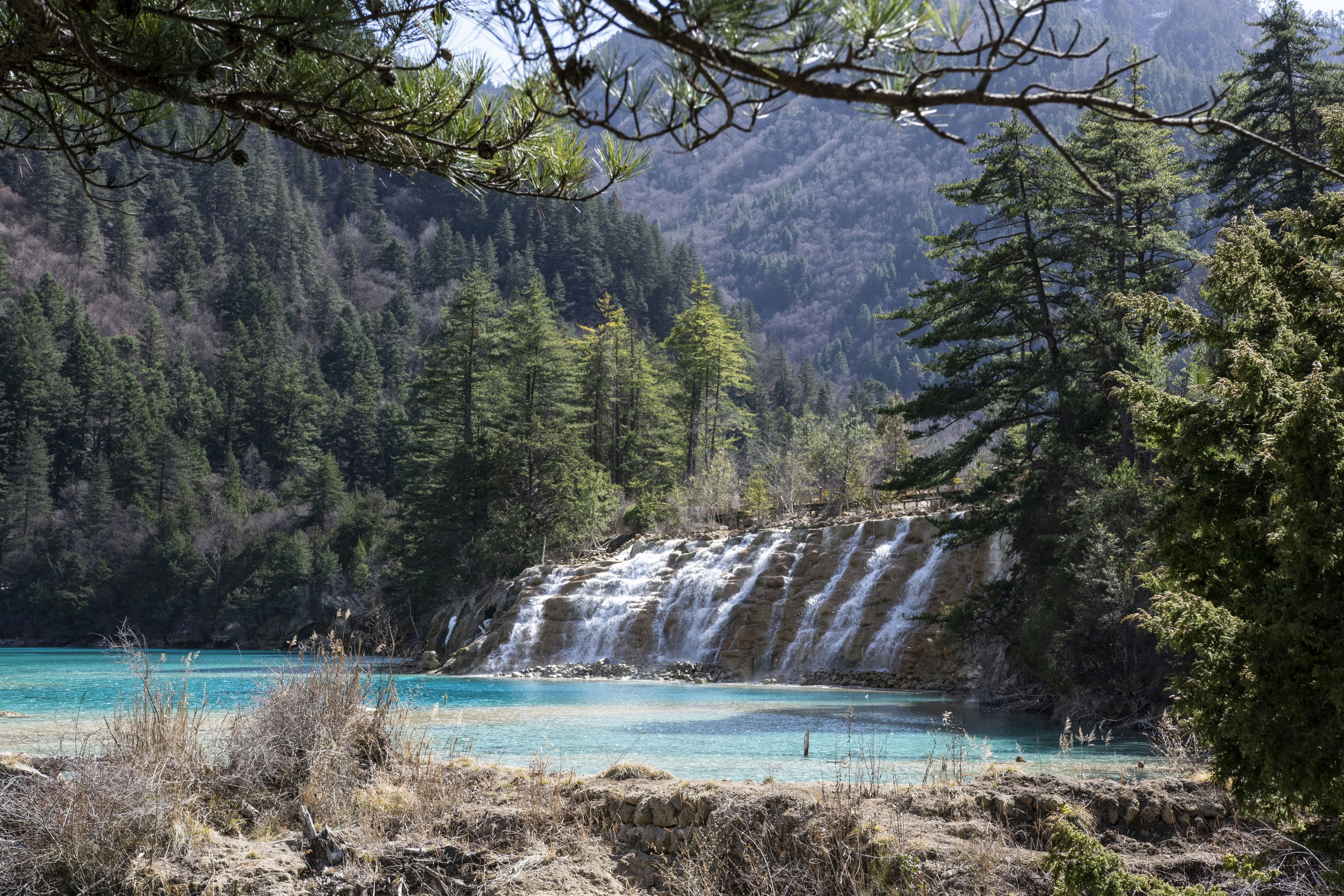 Turquoise Cascade: A Mountain Lagoon Framed by Pines