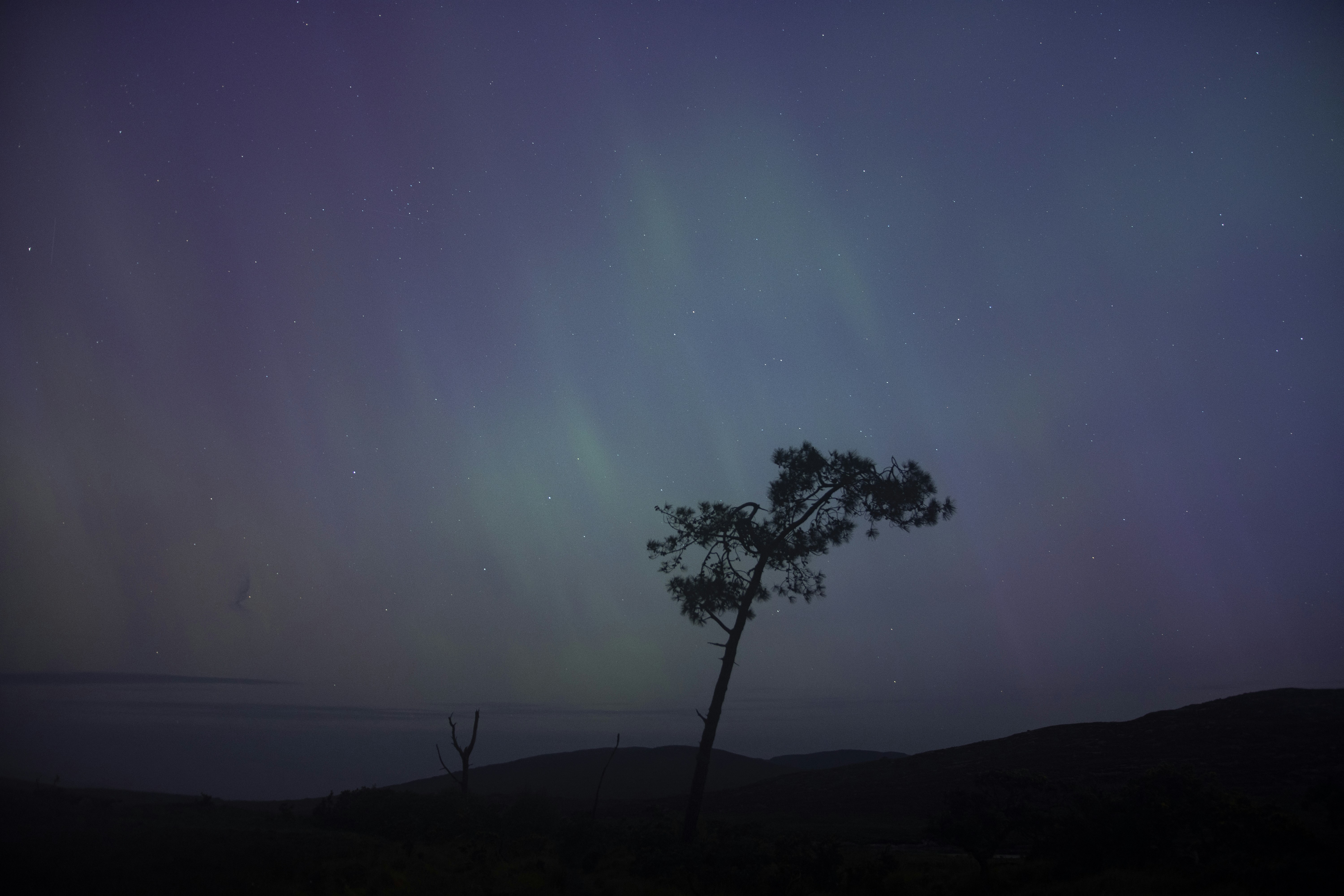Northern Lights Above a Lone Drifter