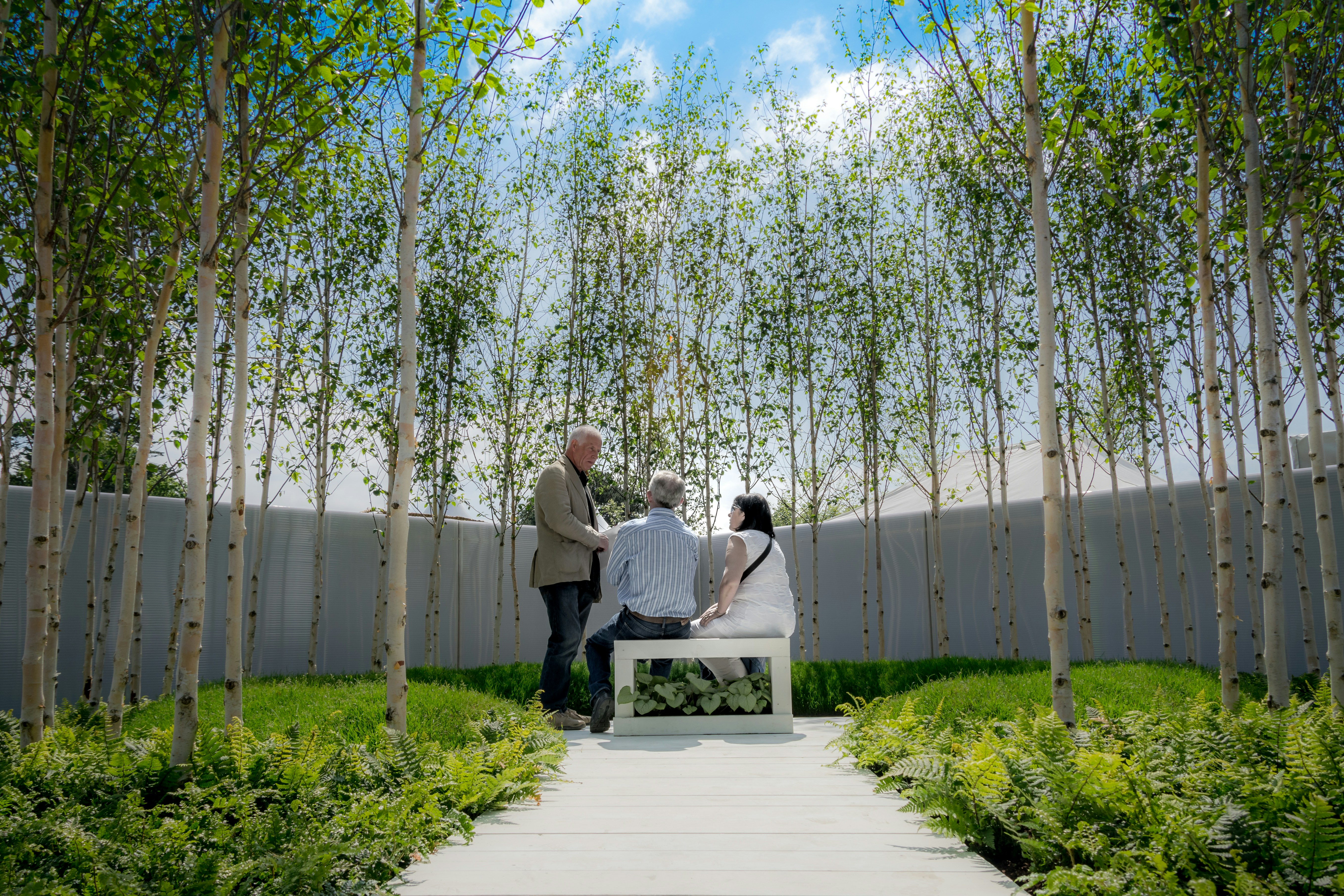 Treeline Circle: A Quiet Moment Beneath the Grove