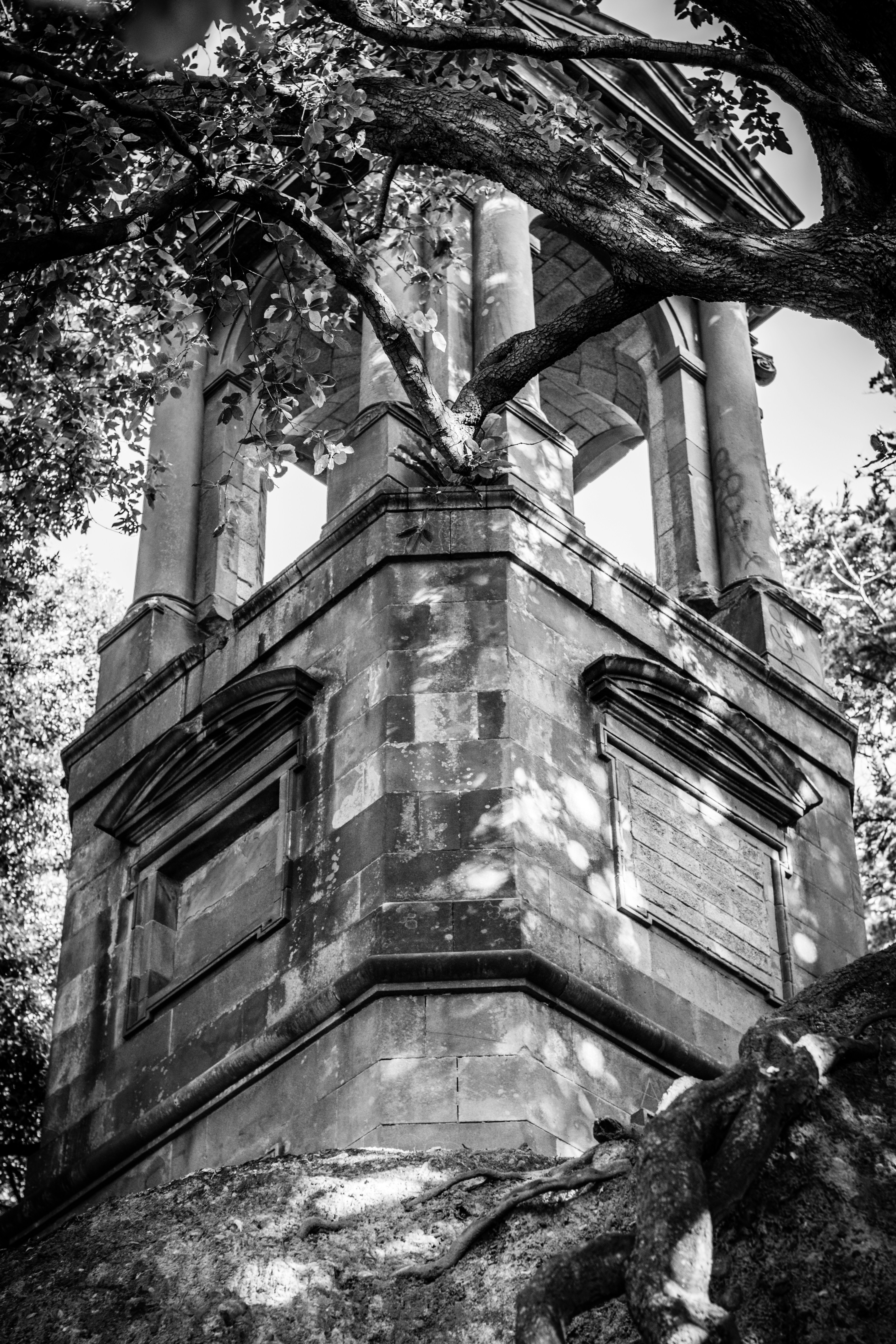 Stone Pavilion Ascending from Tree Roots