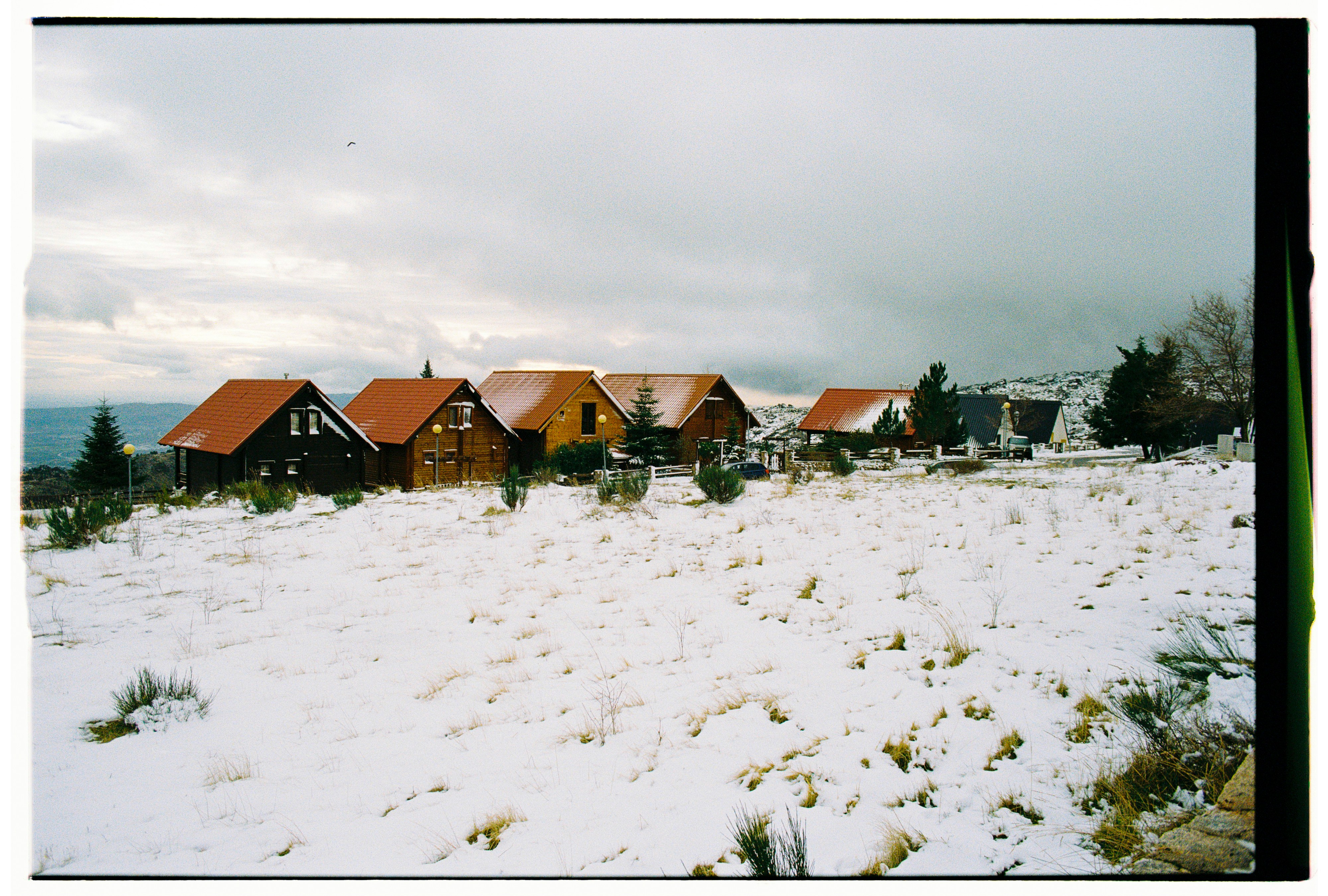 Snow-Covered Cabin Row Under Soft Winter Light