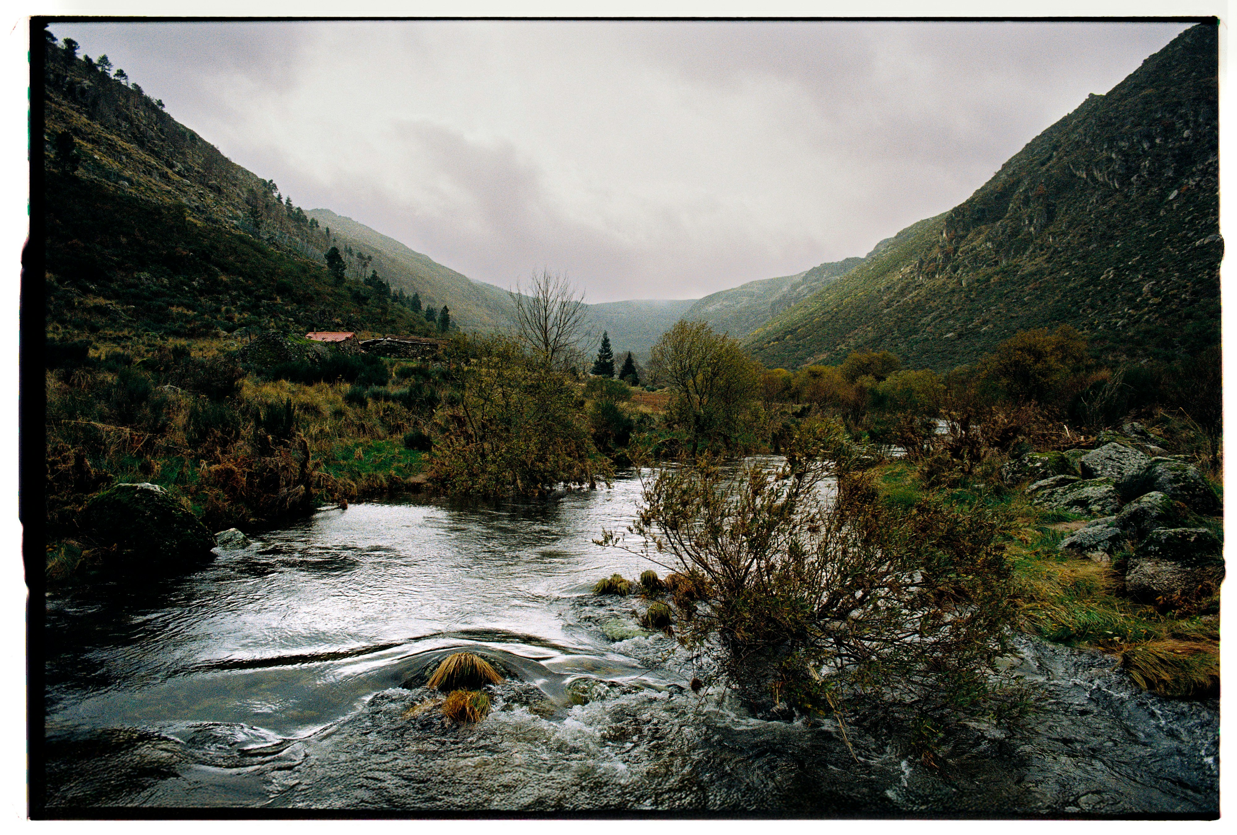 River Gorge in a Calm Valley: A Loom of Mountains and Water