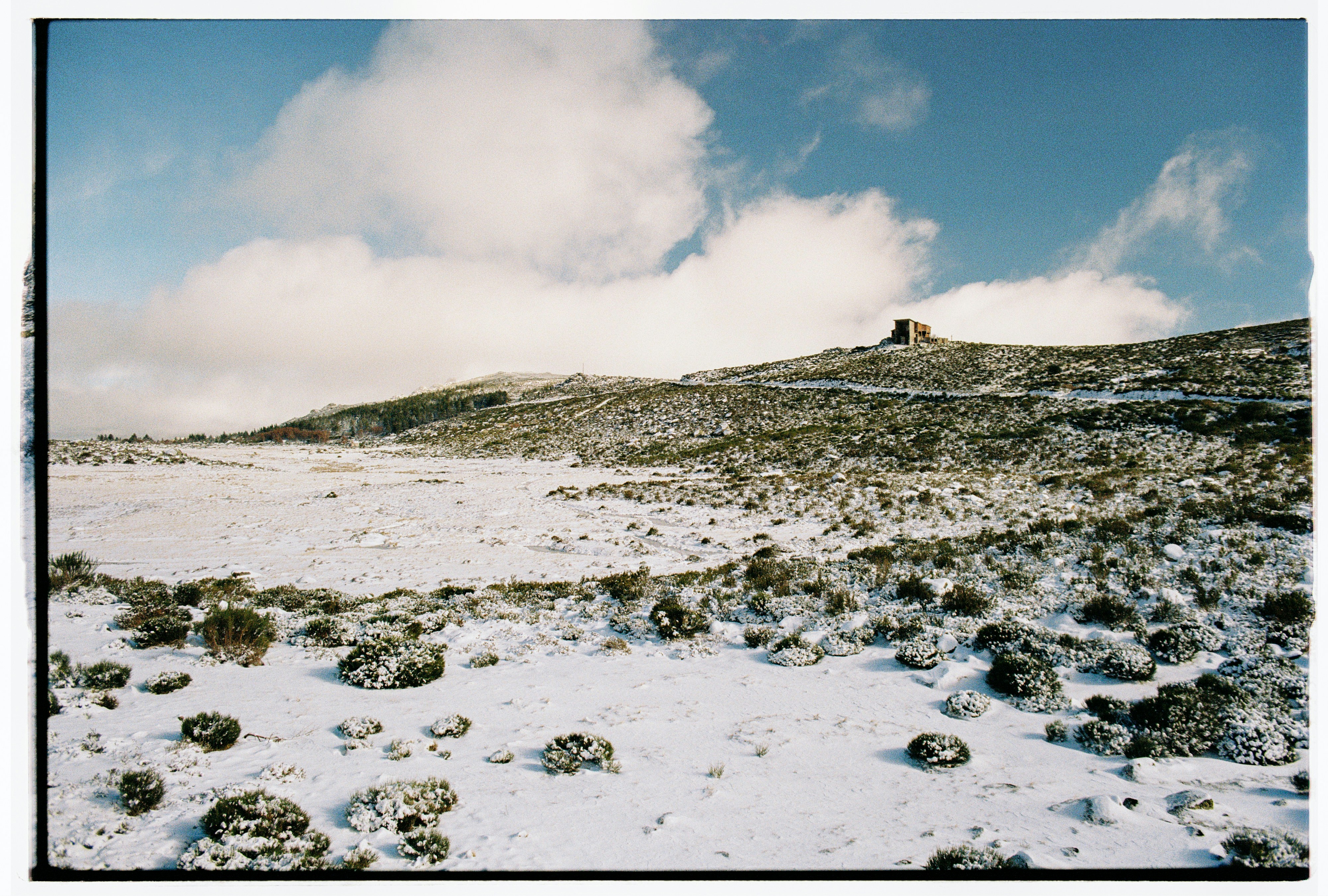 Winter landscape, soft white tones, natural light, 35mm film texture. | Enfocus Collective