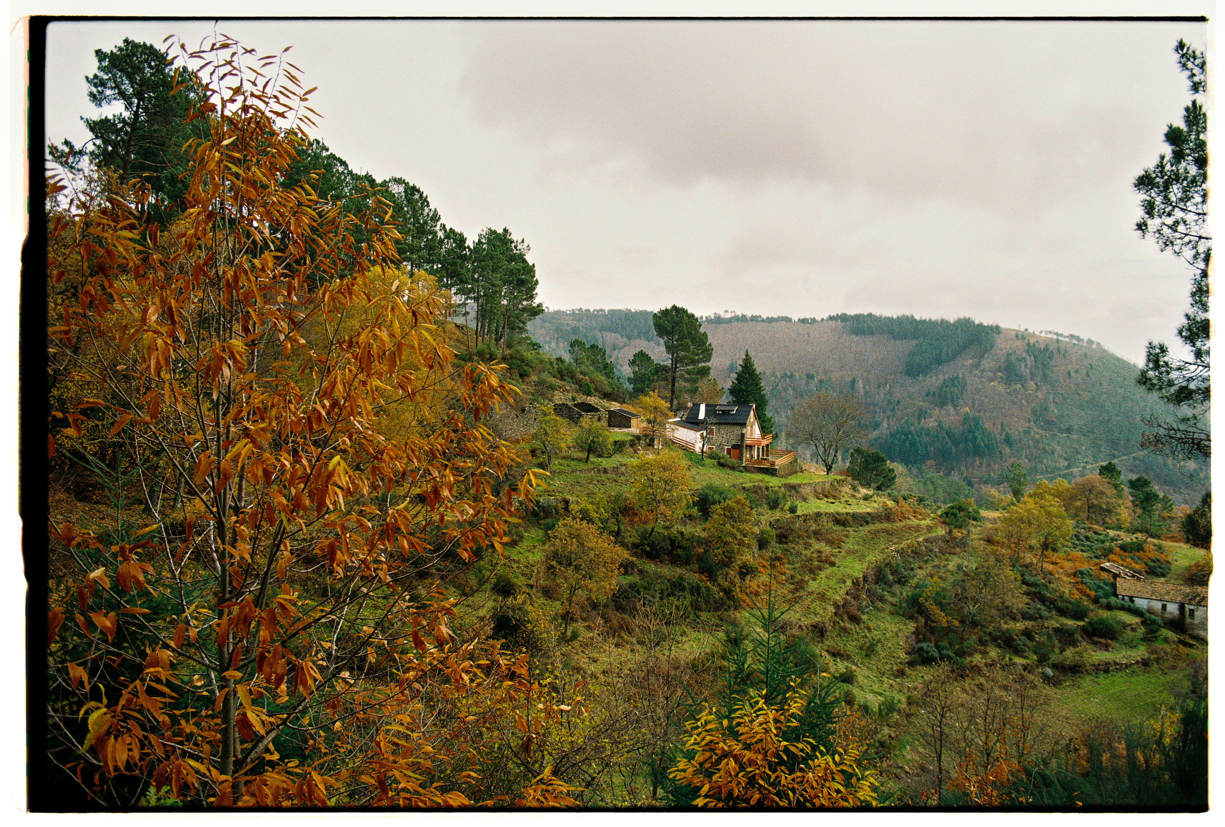 Autumn Ridge: A Quiet Village Nestled Among Hills