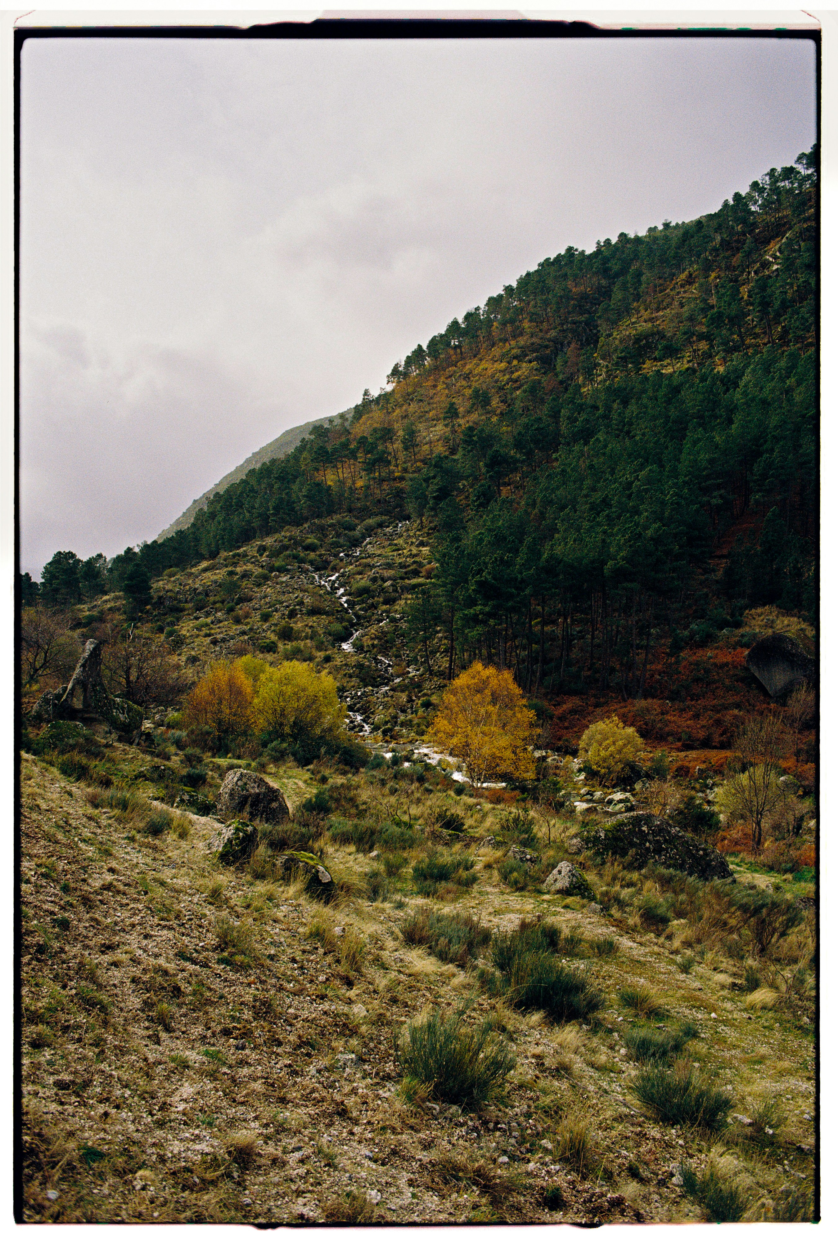 Autumn Mist over a Winding Mountain Stream