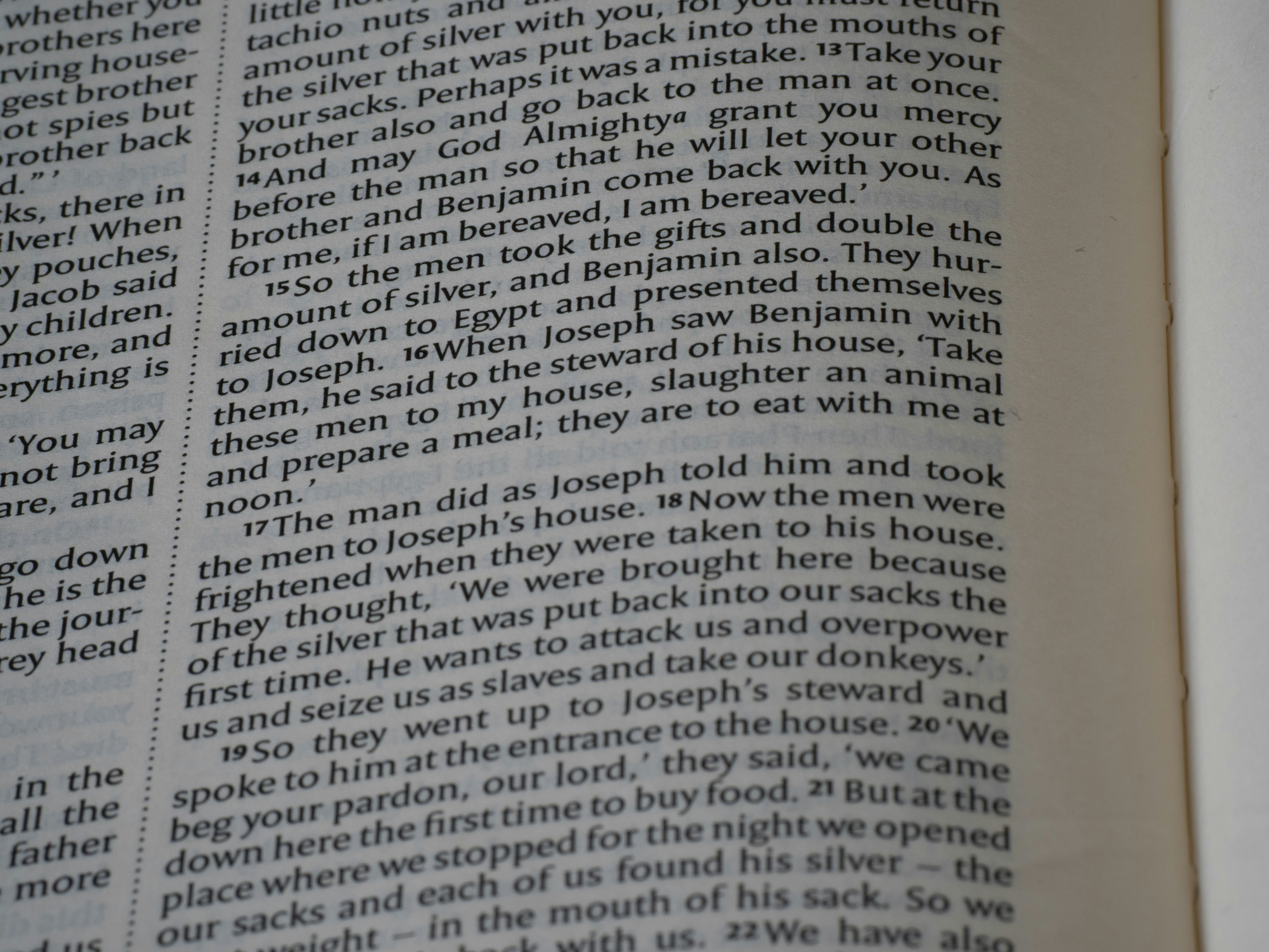 Close-Quarters Threshold: A Page's Gaze Amid Dense Script