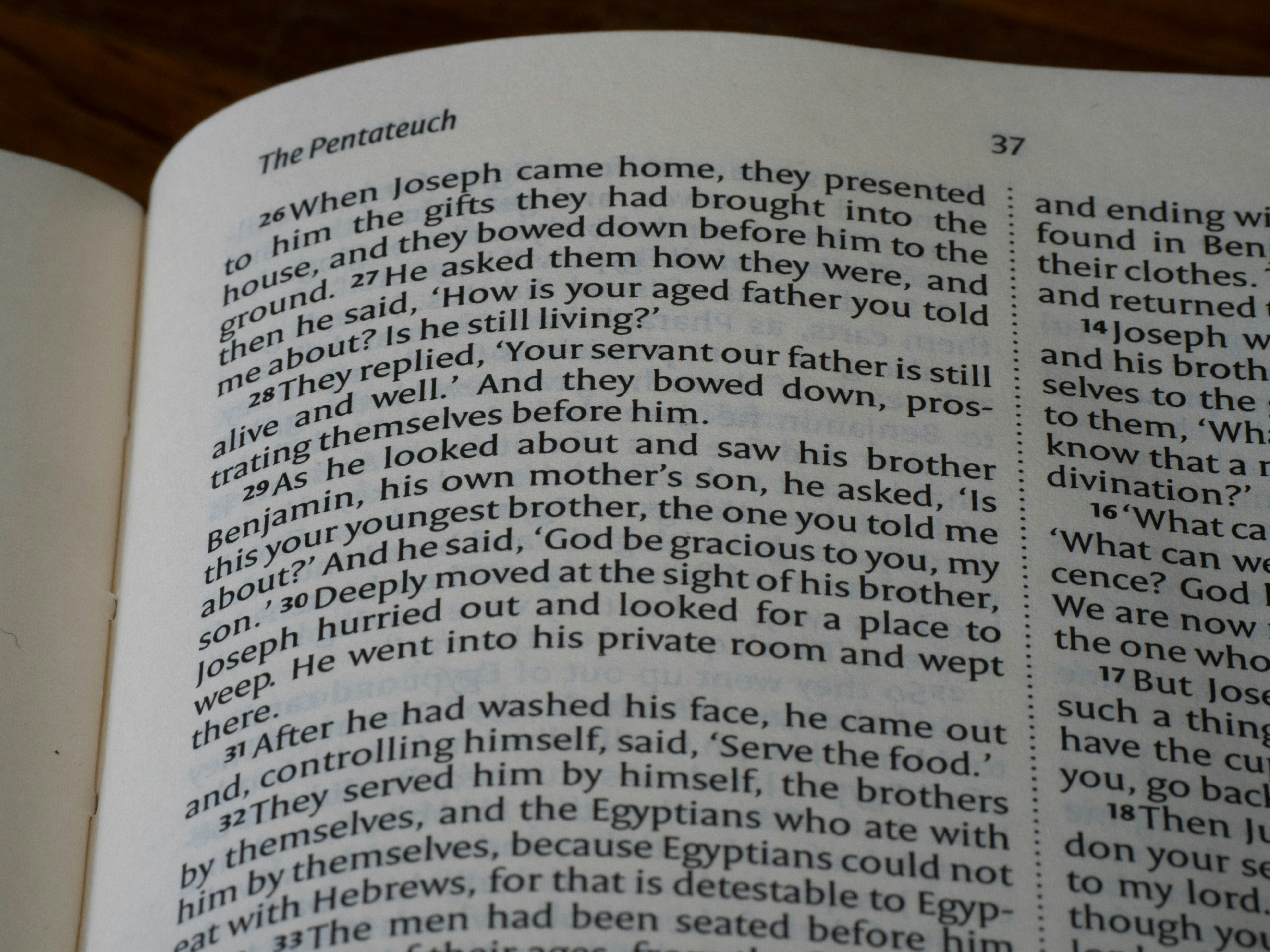 Close-up of an open book with printed text. photo – Free Paper Image on ...