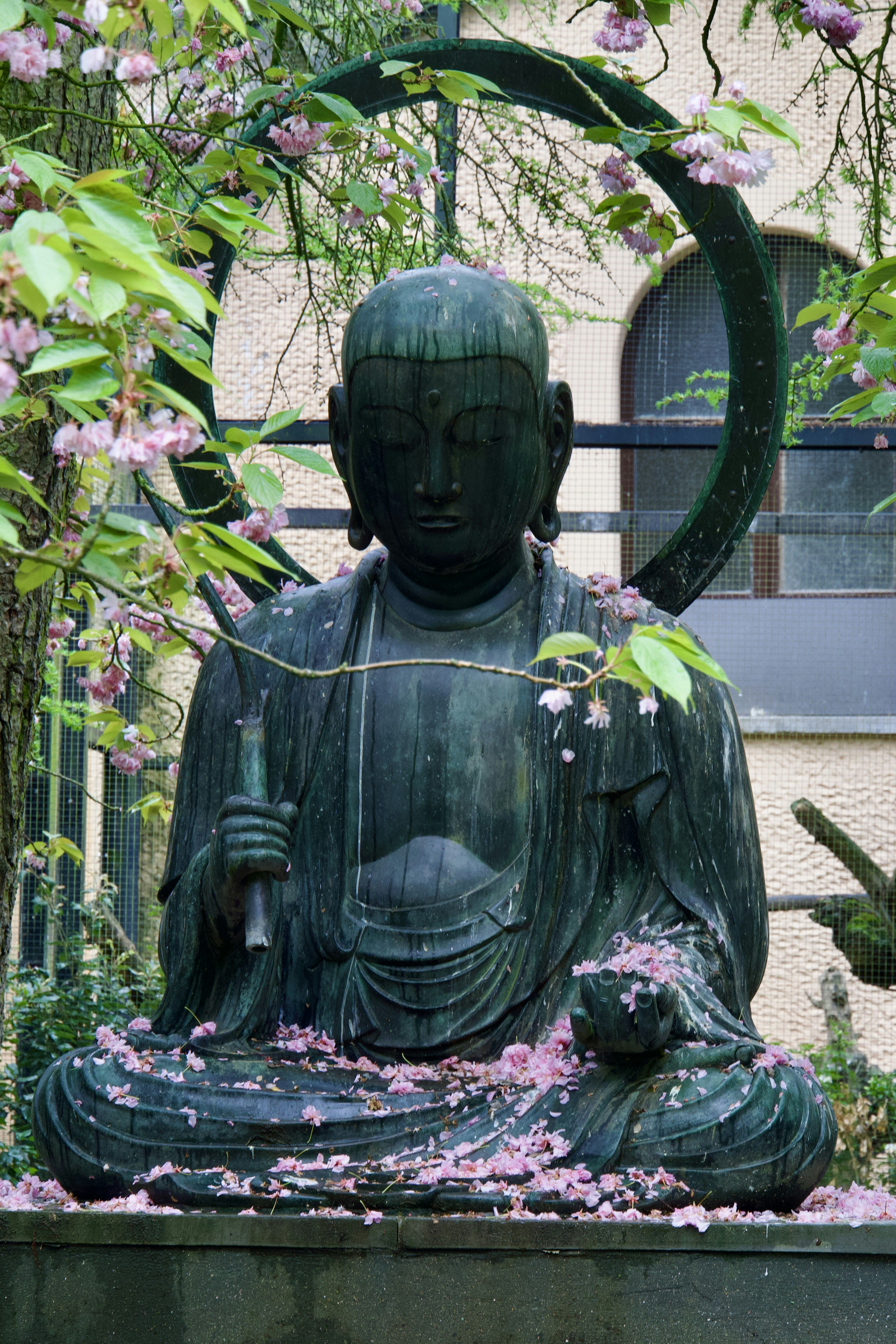 Zen Statue Amid Pink Petals: A Quiet Moment in the Garden