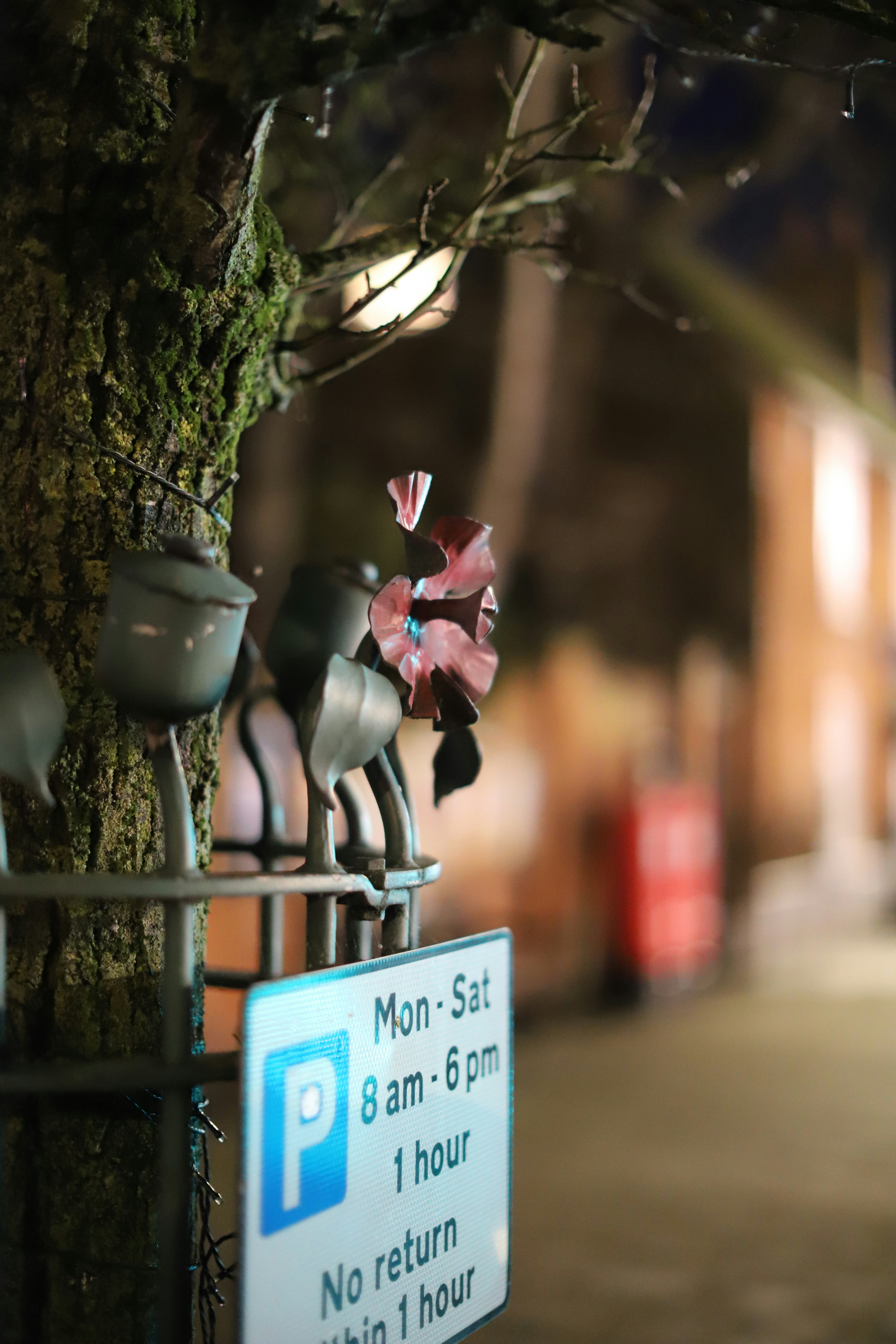 Mossy Gatekeepers: Tiny Tin Pails and Fading Sign