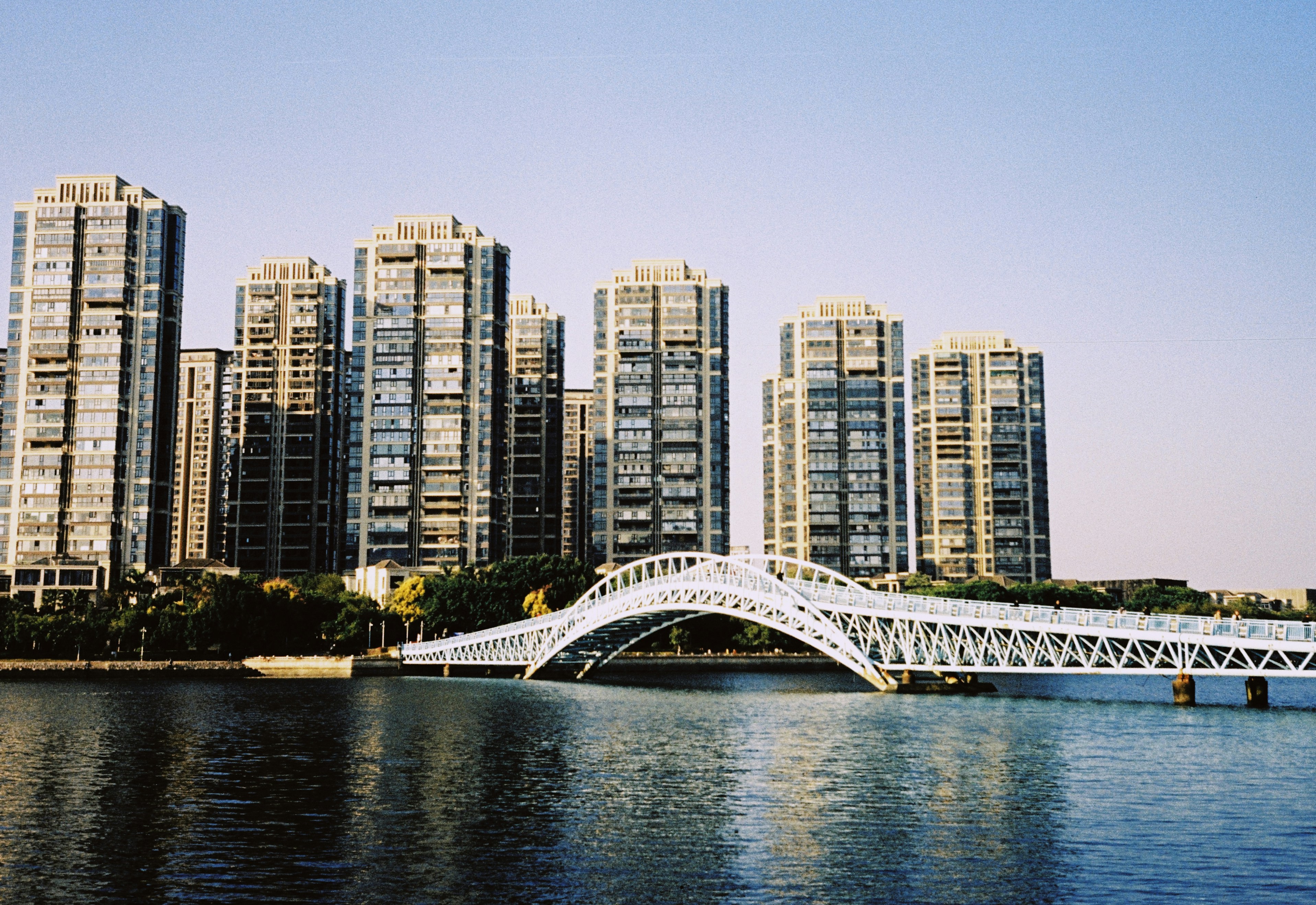 Arched Bridge Framing a Waterfront Skyline