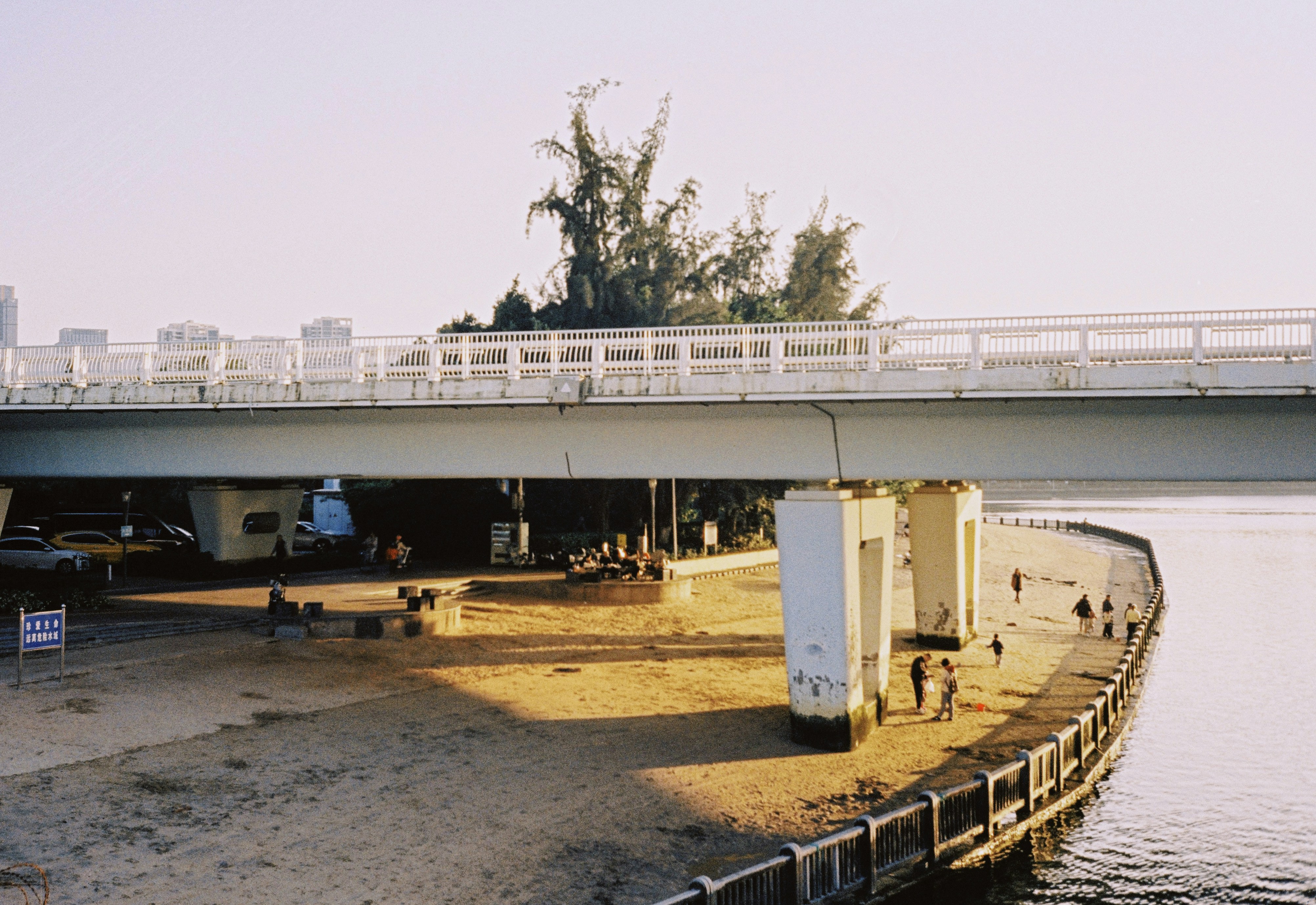 Bridge over Golden Shore: Quiet Activity by the Riverbank