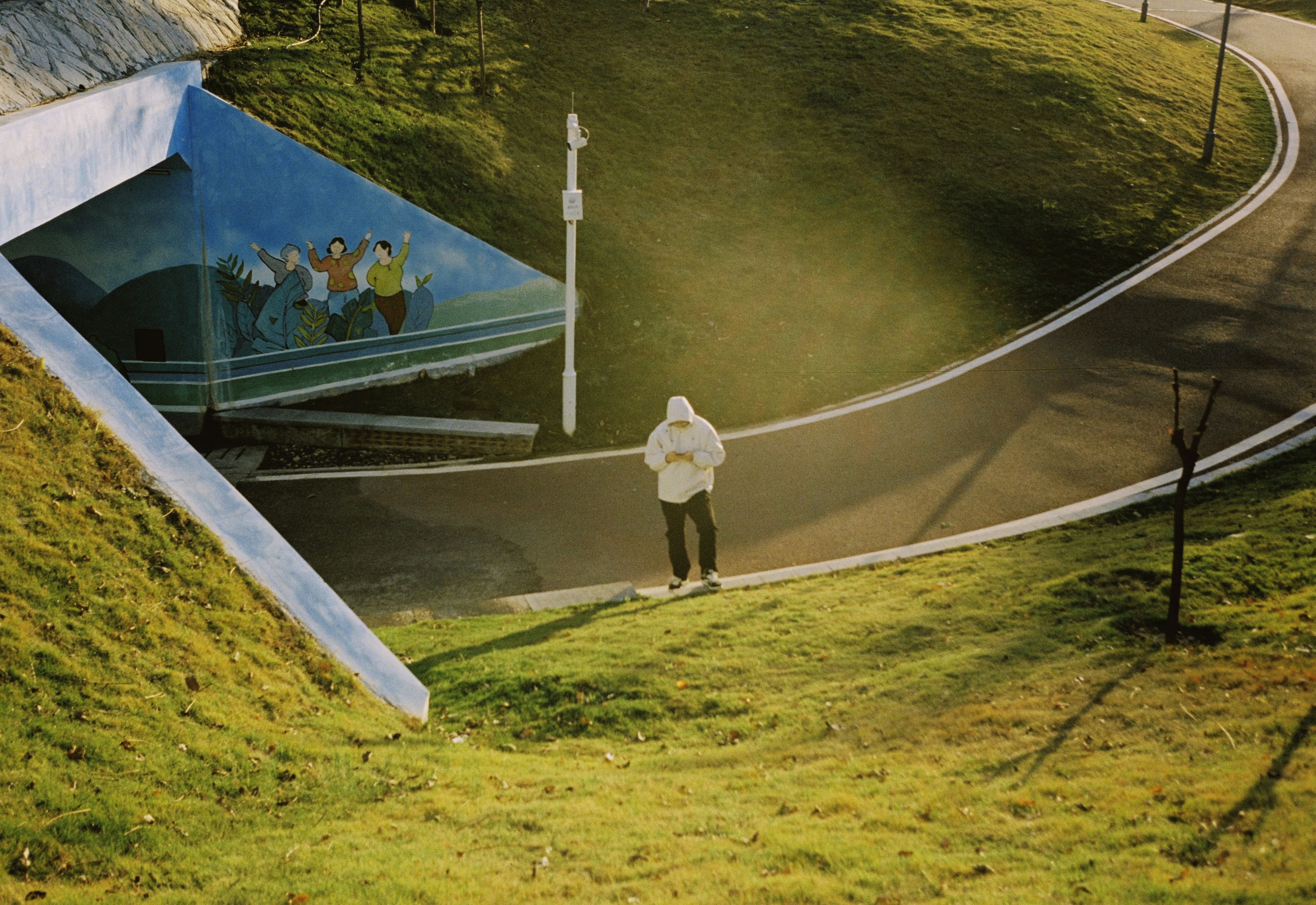 Solitary jogger on a sunlit park path beside a muraled skate ramp