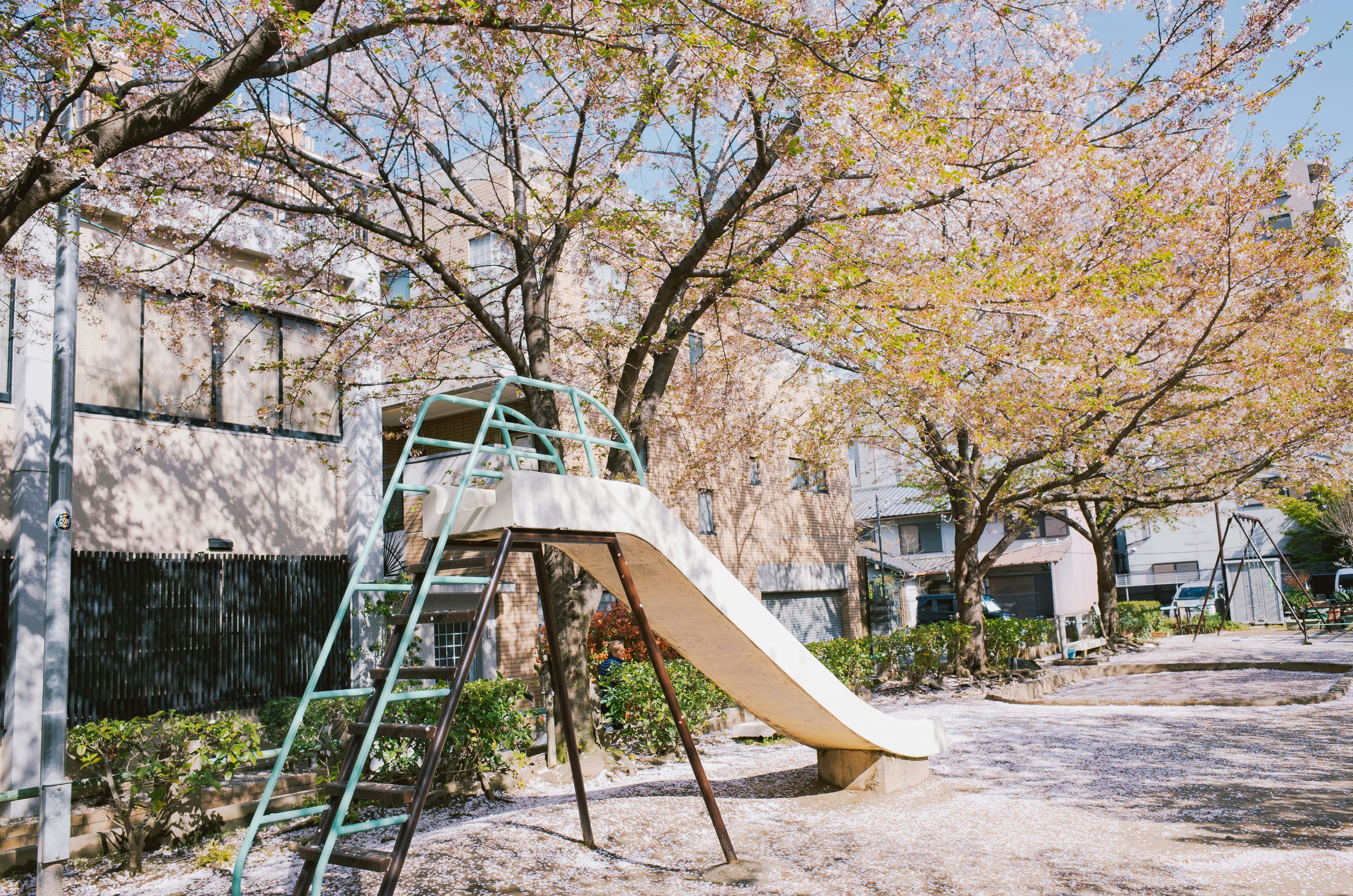 Sunlit Play Structure in a Springtime Campus Scene