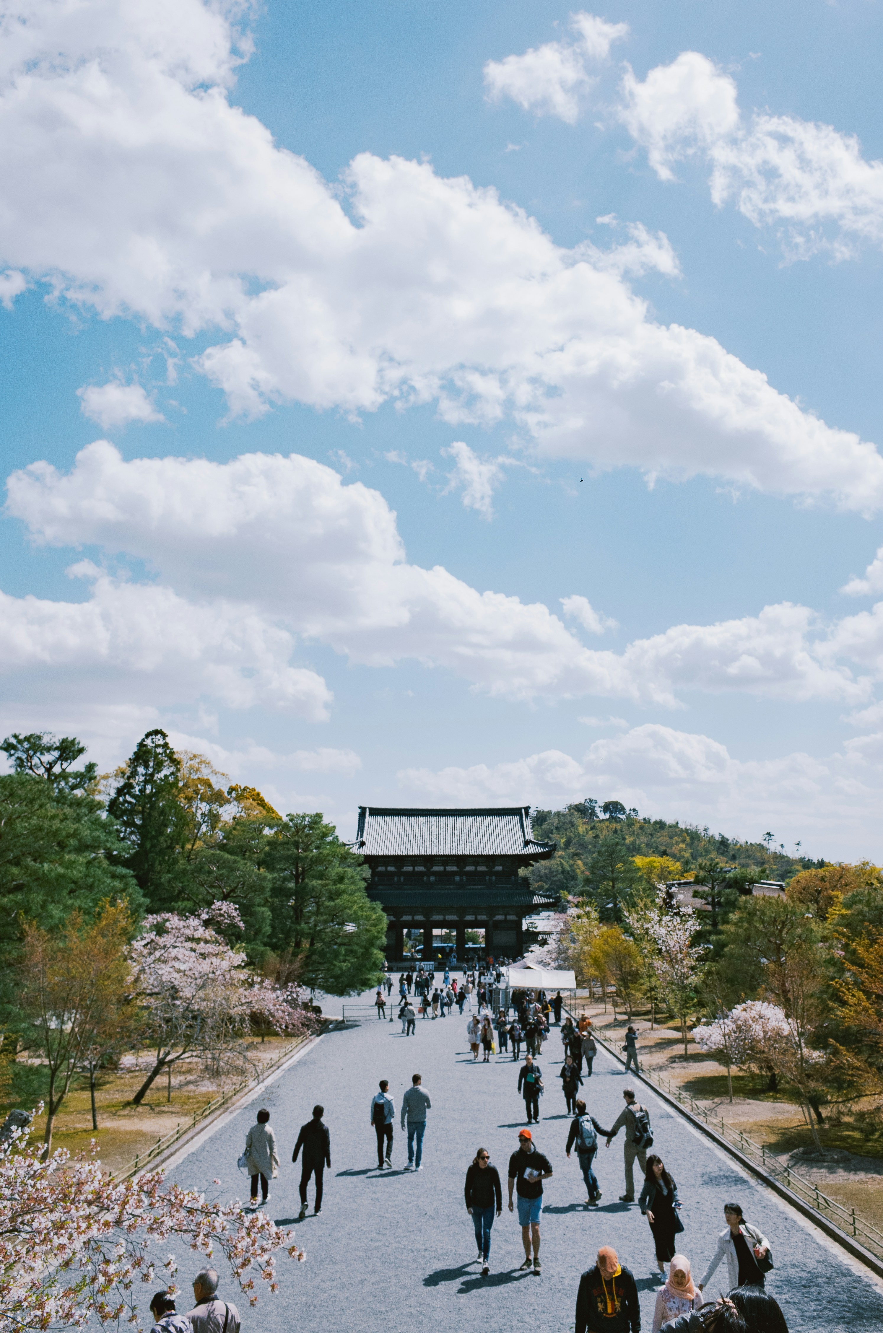 Crane Gate in Bloom: A Quiet Pathway Beneath a Sky of White Clouds