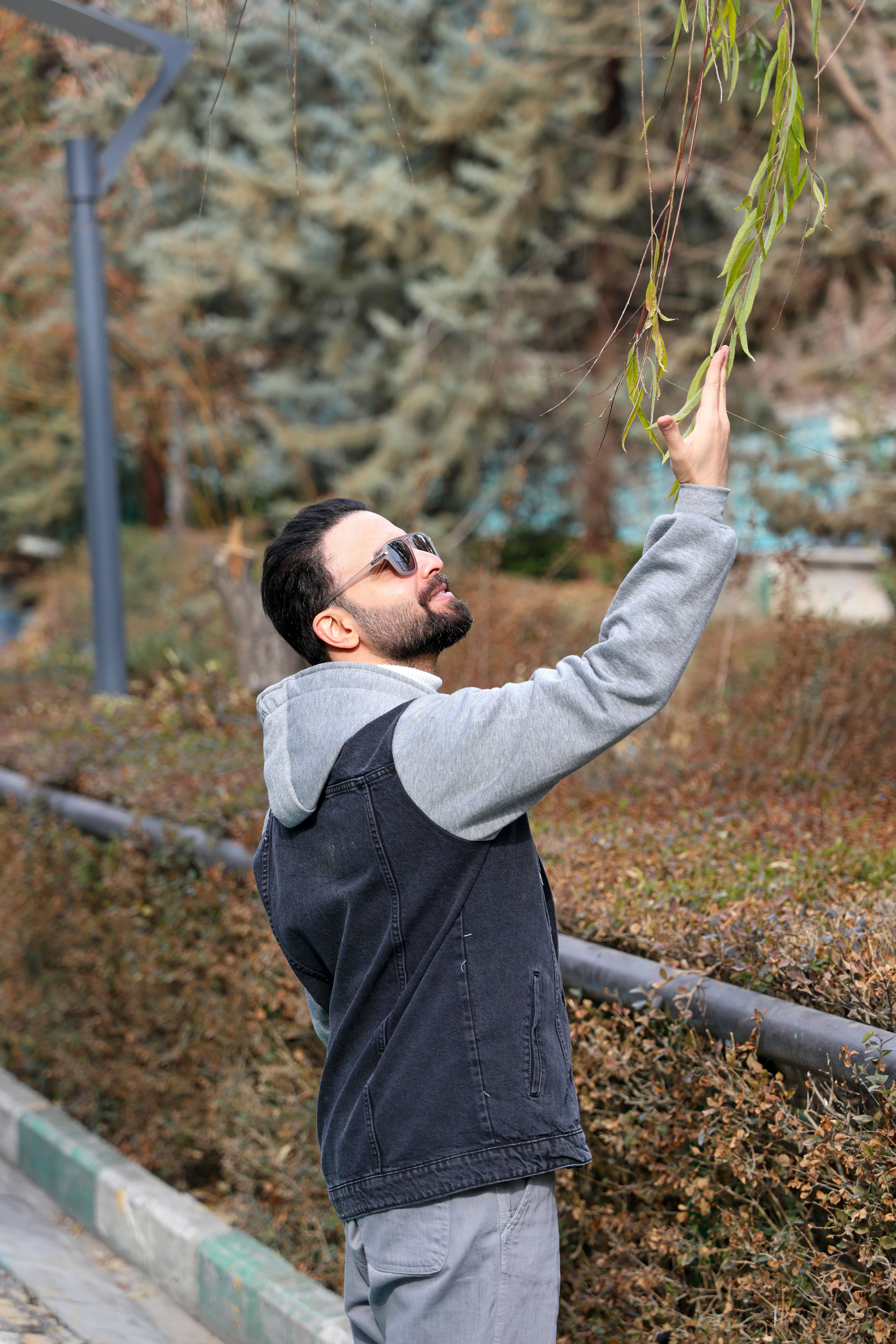 Reach for the Willow: A Quiet Moment of Gesture in the Park