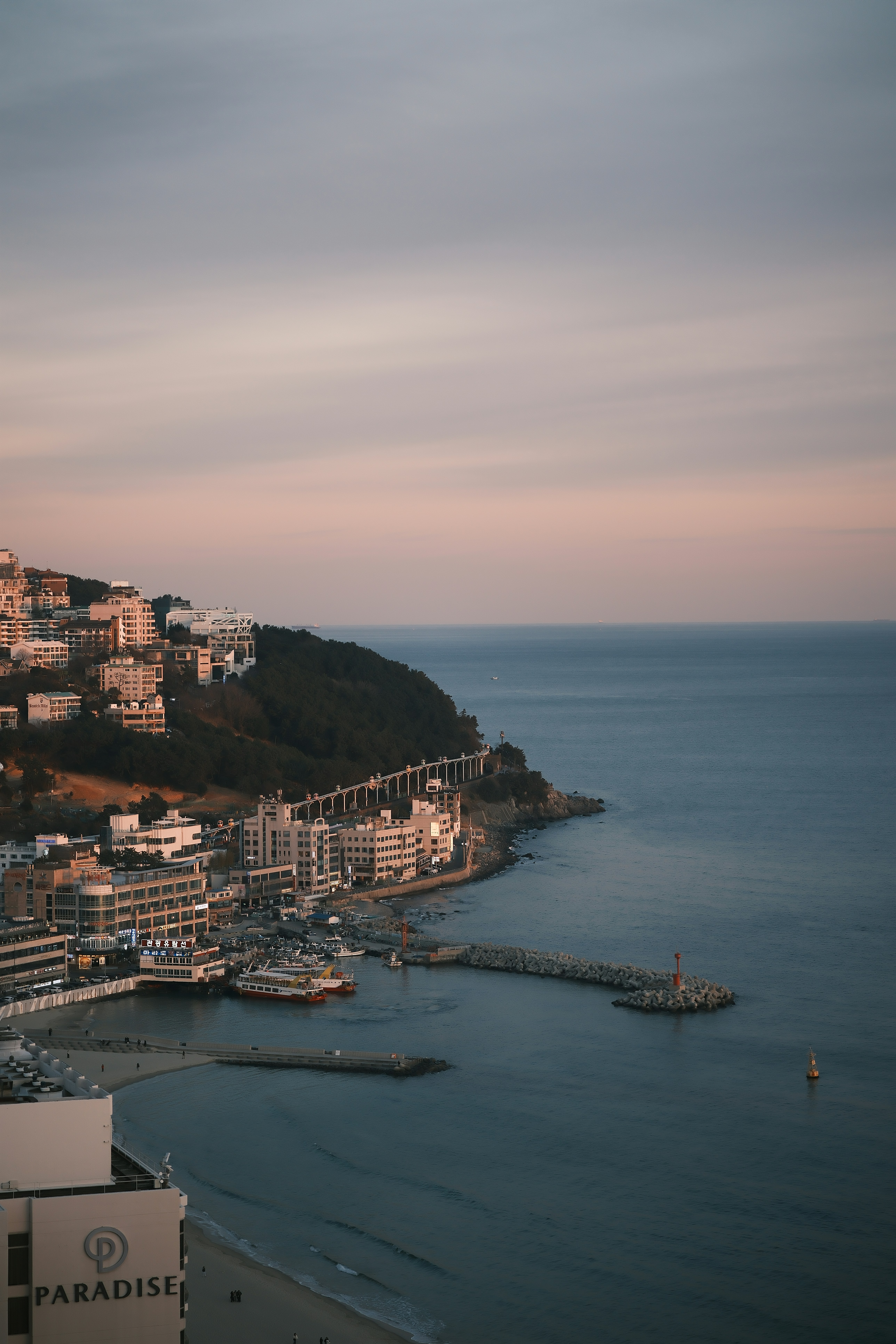 Coastal Terrace at Sunset: A Quiet Climb Above the Pacific