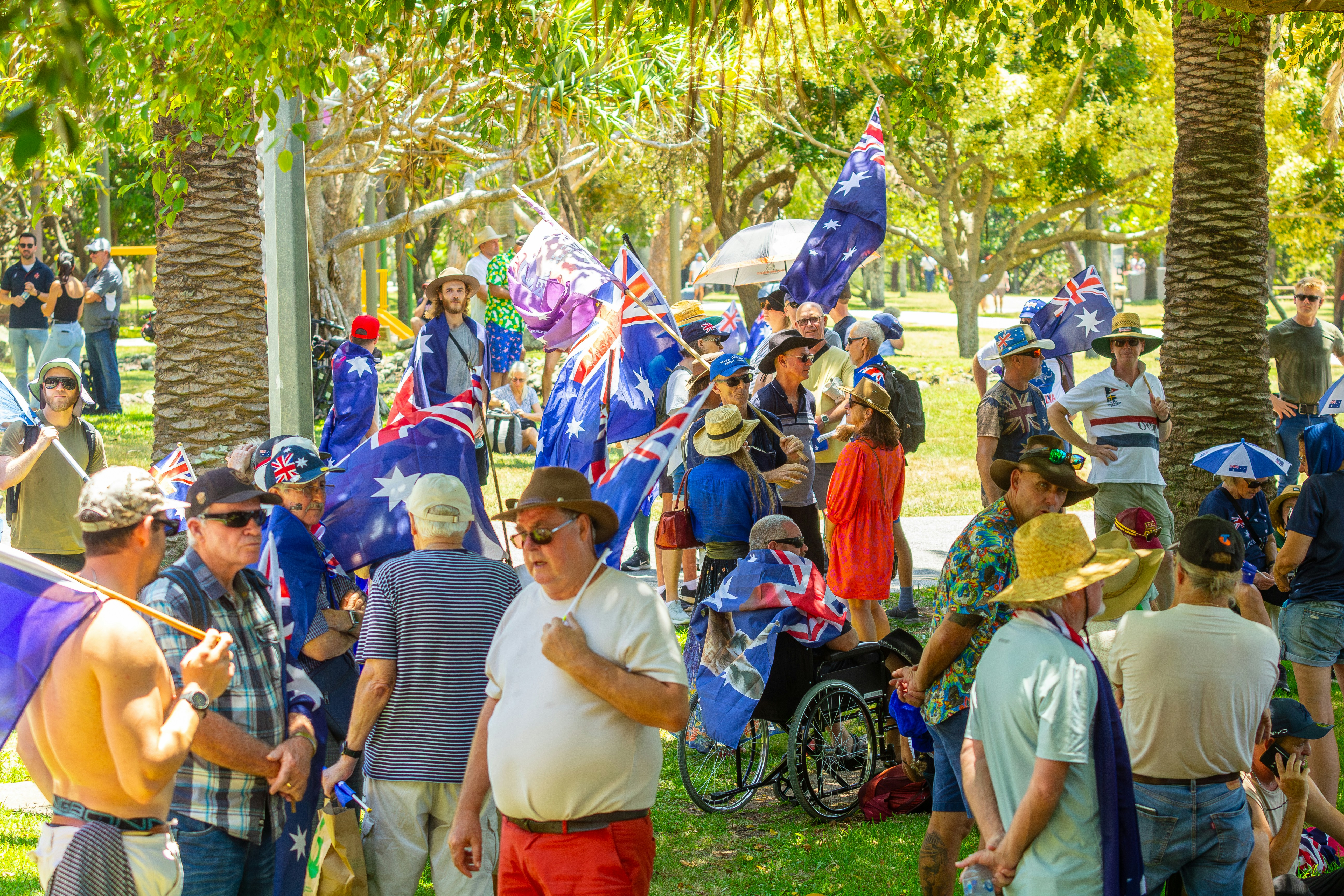 Flag Parade Amid Shade: A Social Gathering in a Park